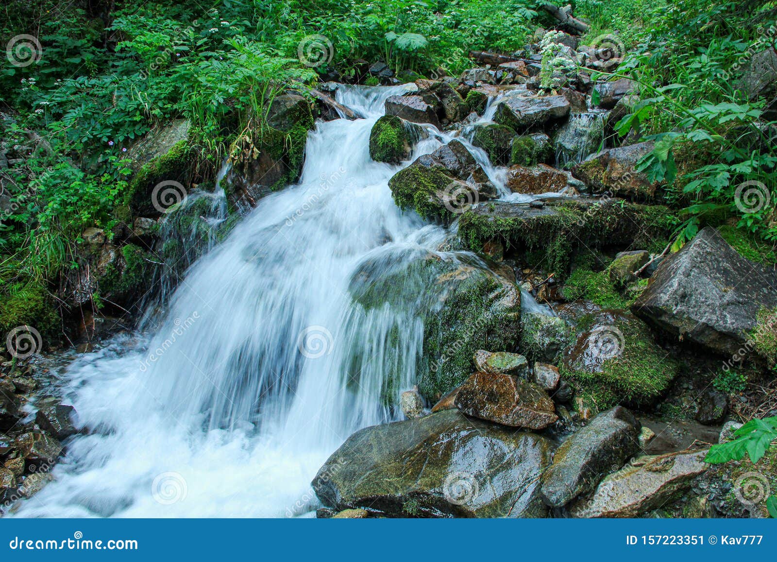 Falling Mountain River Over Stone Stock Image - Image of stream ...