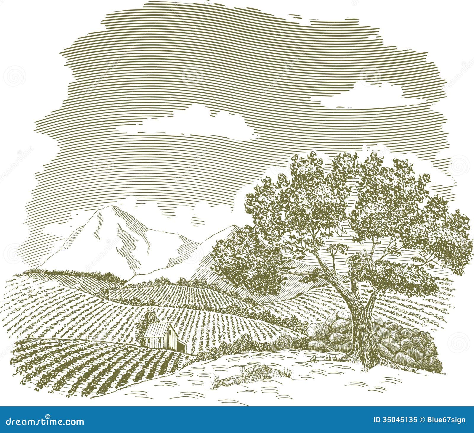 Mountain Farm Field Drawing Stock Vector - Illustration of mountain ...