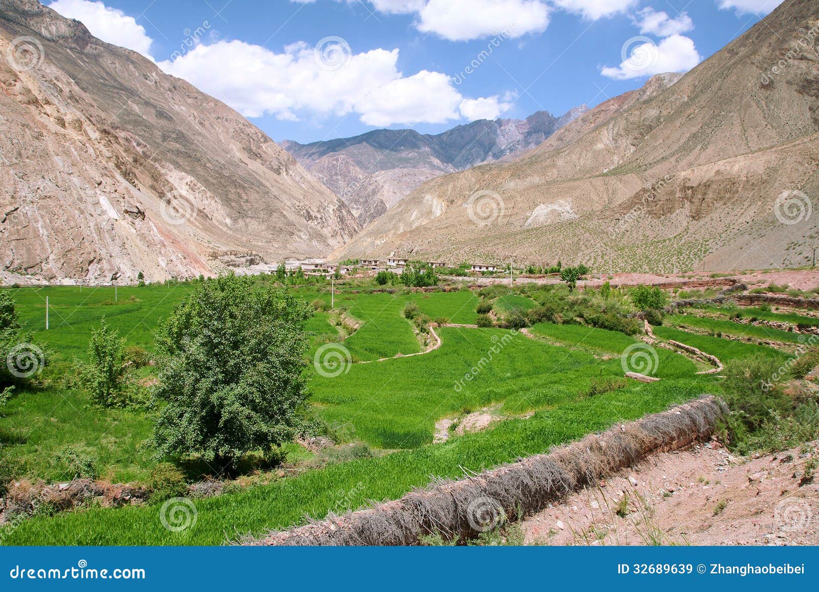 Mountain farmland stock image. Image of brae, tree, scenic - 32689639