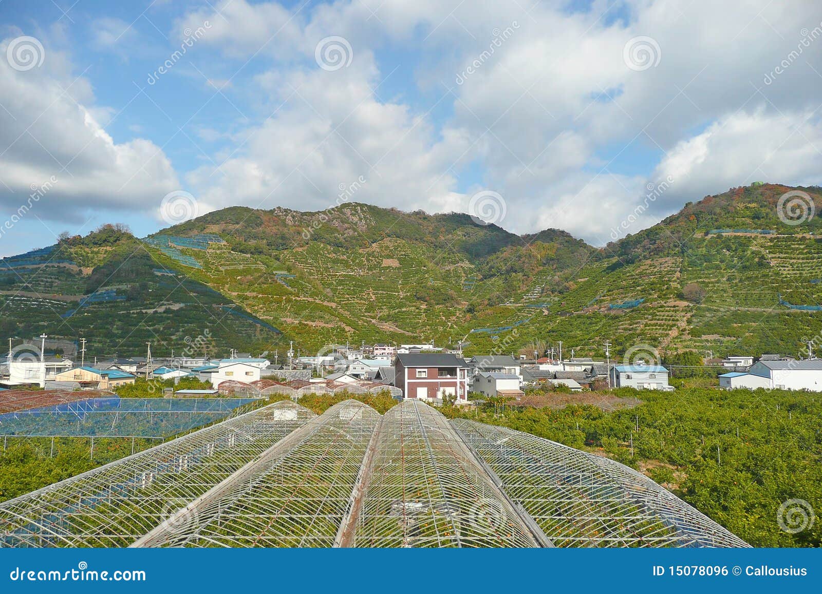 Mountain Farms stock photo. Image of grassland, greenhouse - 15078096