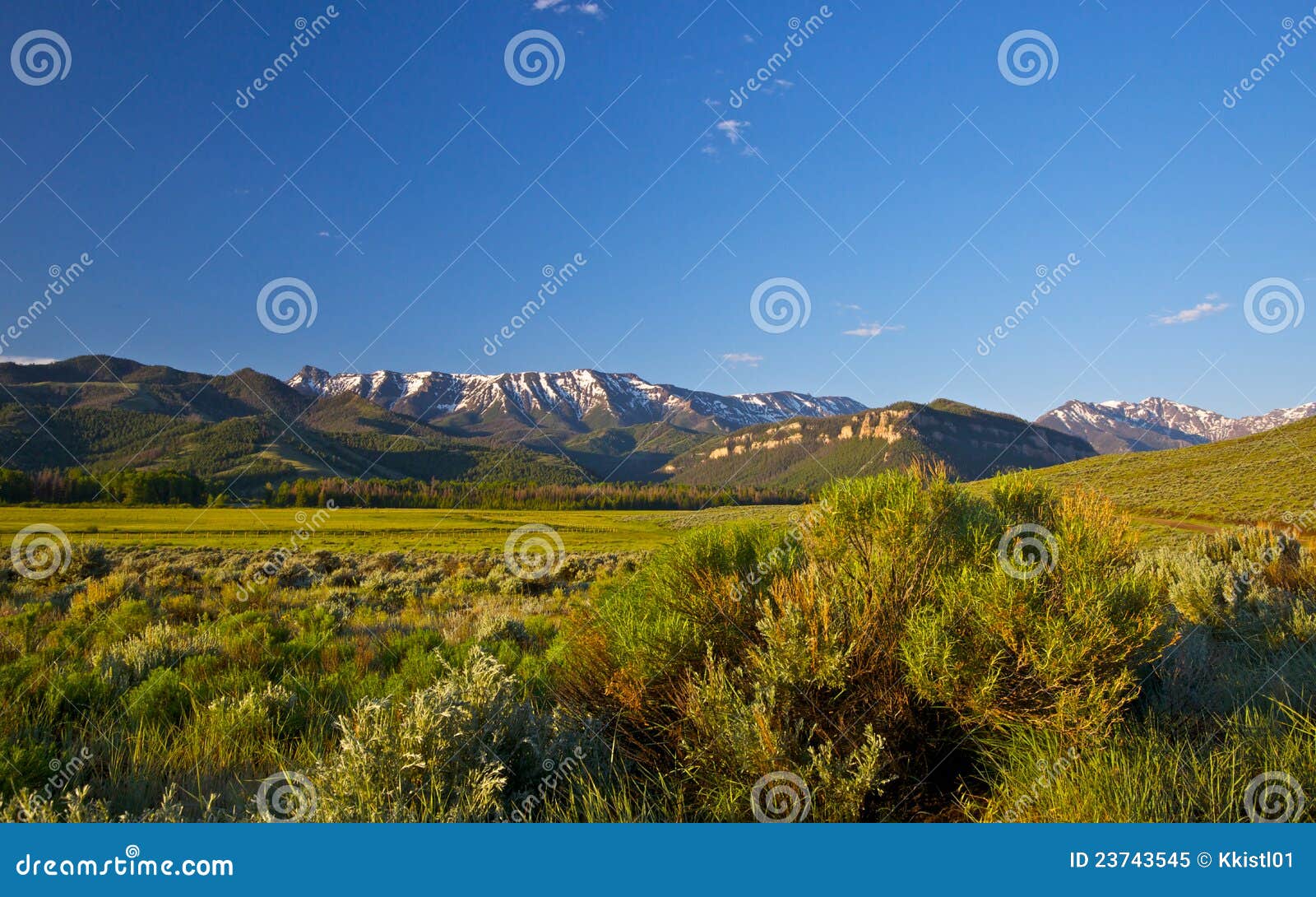 Mountain Field stock image. Image of forest, hillside - 23743545