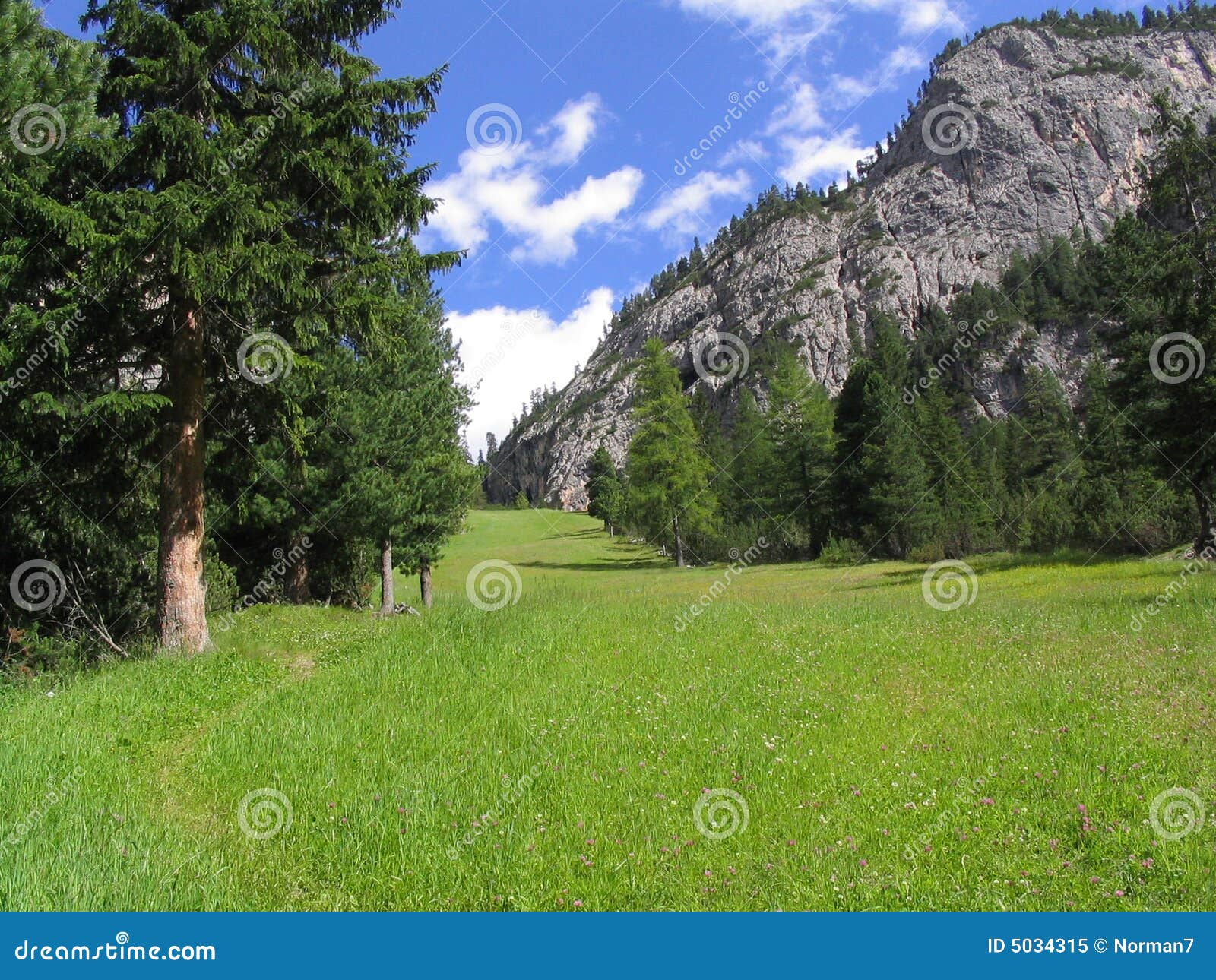 Mountain field stock image. Image of alps, clouds, armentarola - 5034315