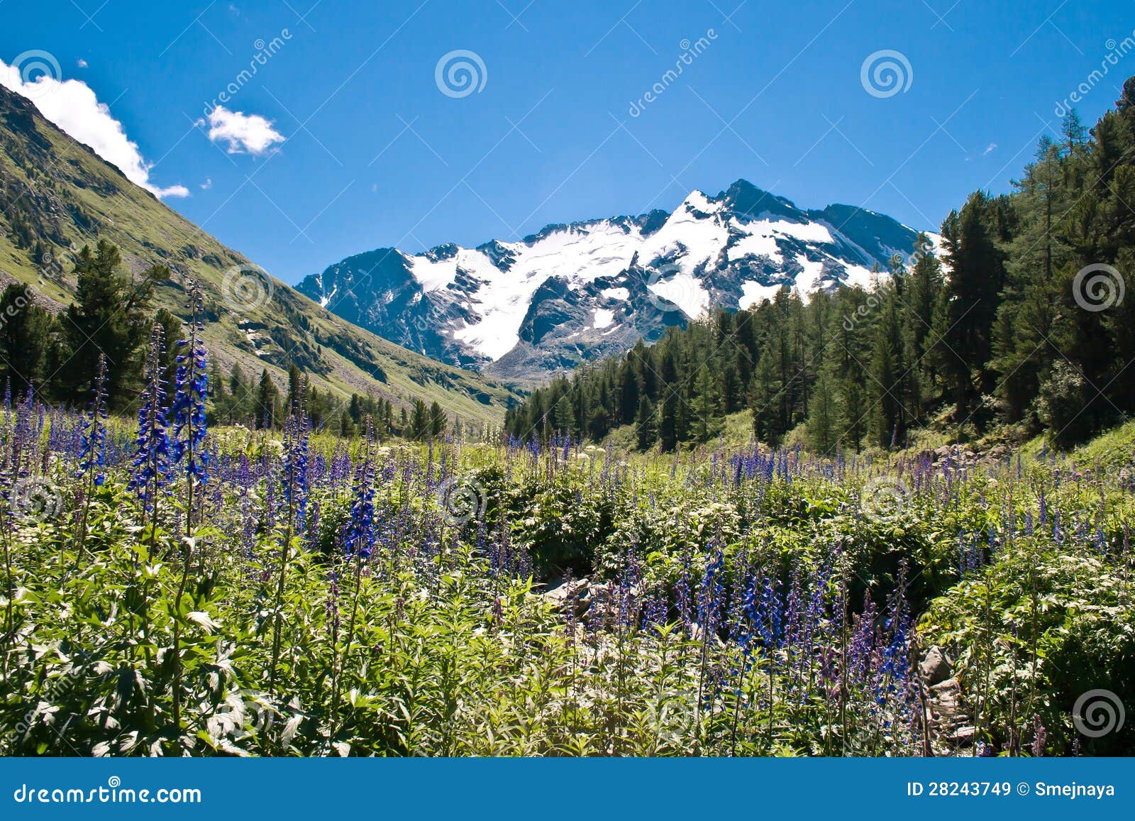 Mountain field landscape stock image. Image of high, scenic - 28243749