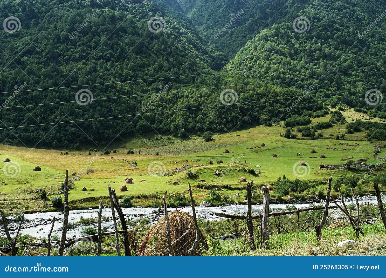 The mountain fields stock image. Image of north, hedge - 25268305