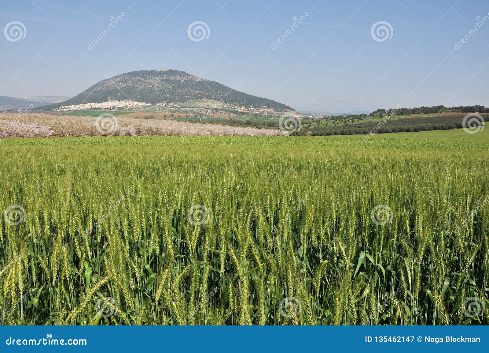 Mountain and Fields with Blue Sky Stock Image - Image of landscape ...