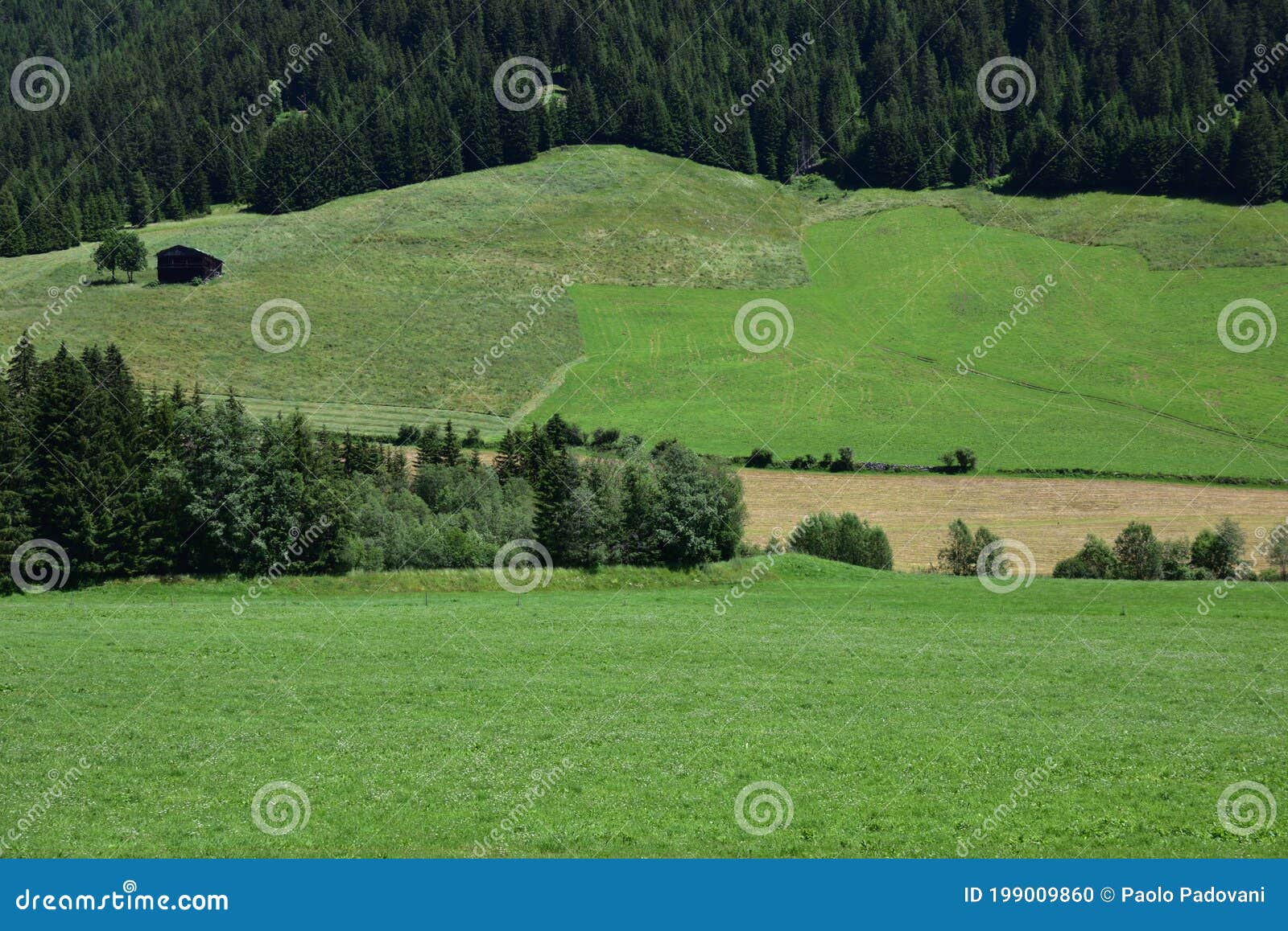Mountain fields stock photo. Image of alps, italy, scene - 199009860