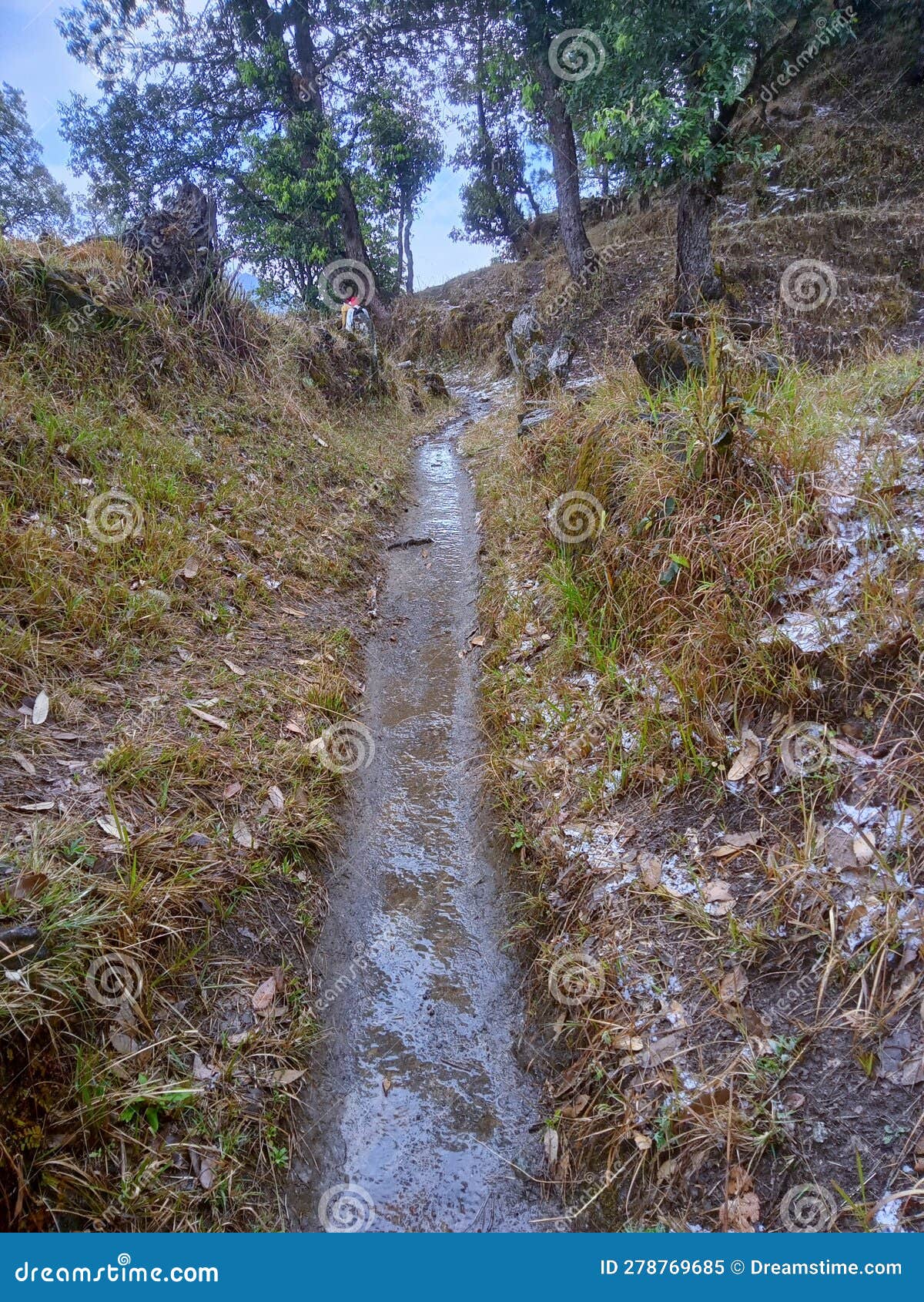 Horror Mountain Shadows. Dramatic Fog Among Giant Rocky Mountains ...