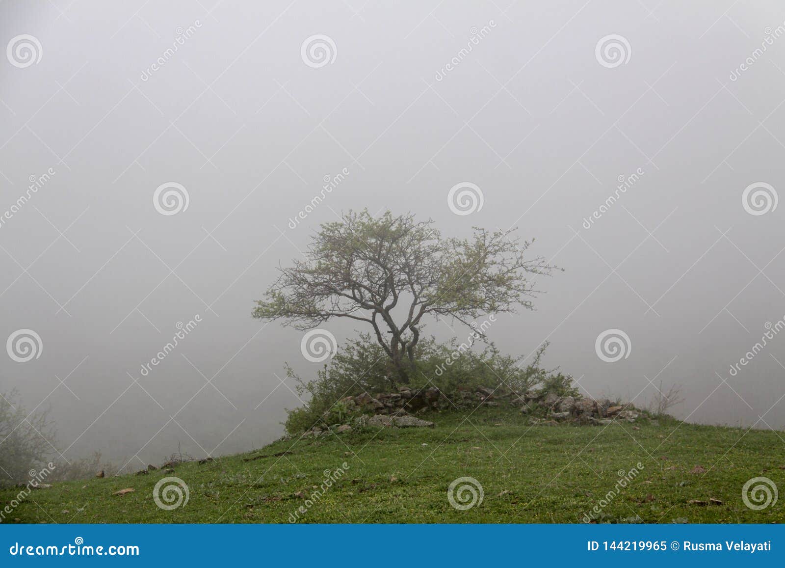 Mountain at Fog, Fog and Tree Iran, Gilan, Rasht Stock Image - Image of ...