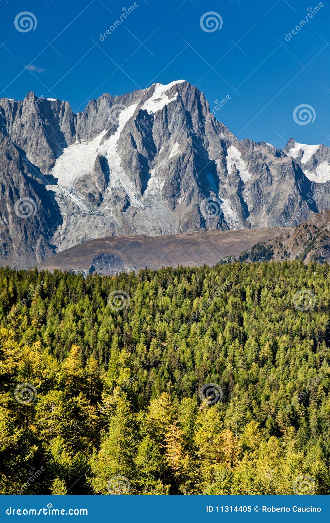 Mountain forest stock image. Image of yellow, snow, mountain - 11314405