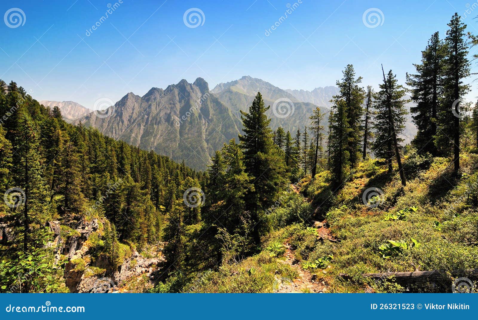 Mountain forest stock image. Image of outdoors, landscape - 26321523
