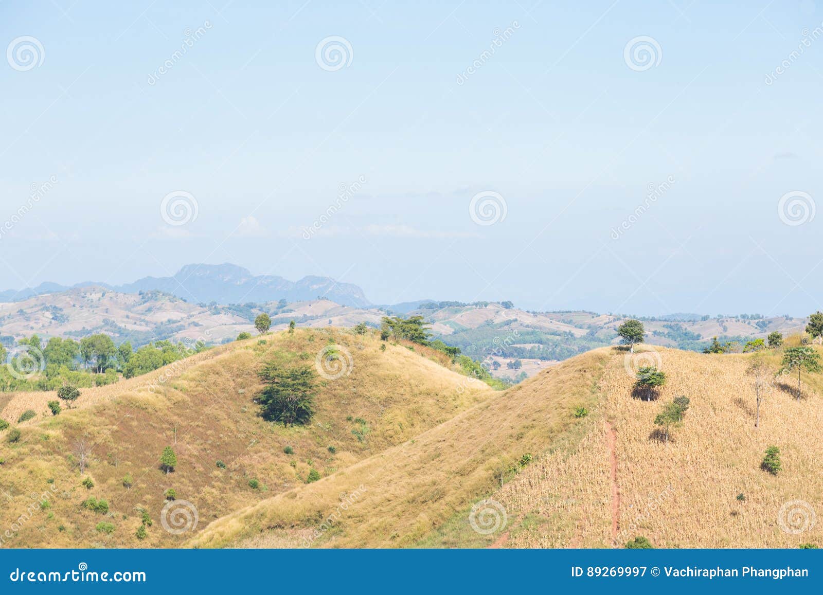 Mountain Forest Destruction Problem Stock Image - Image of development ...