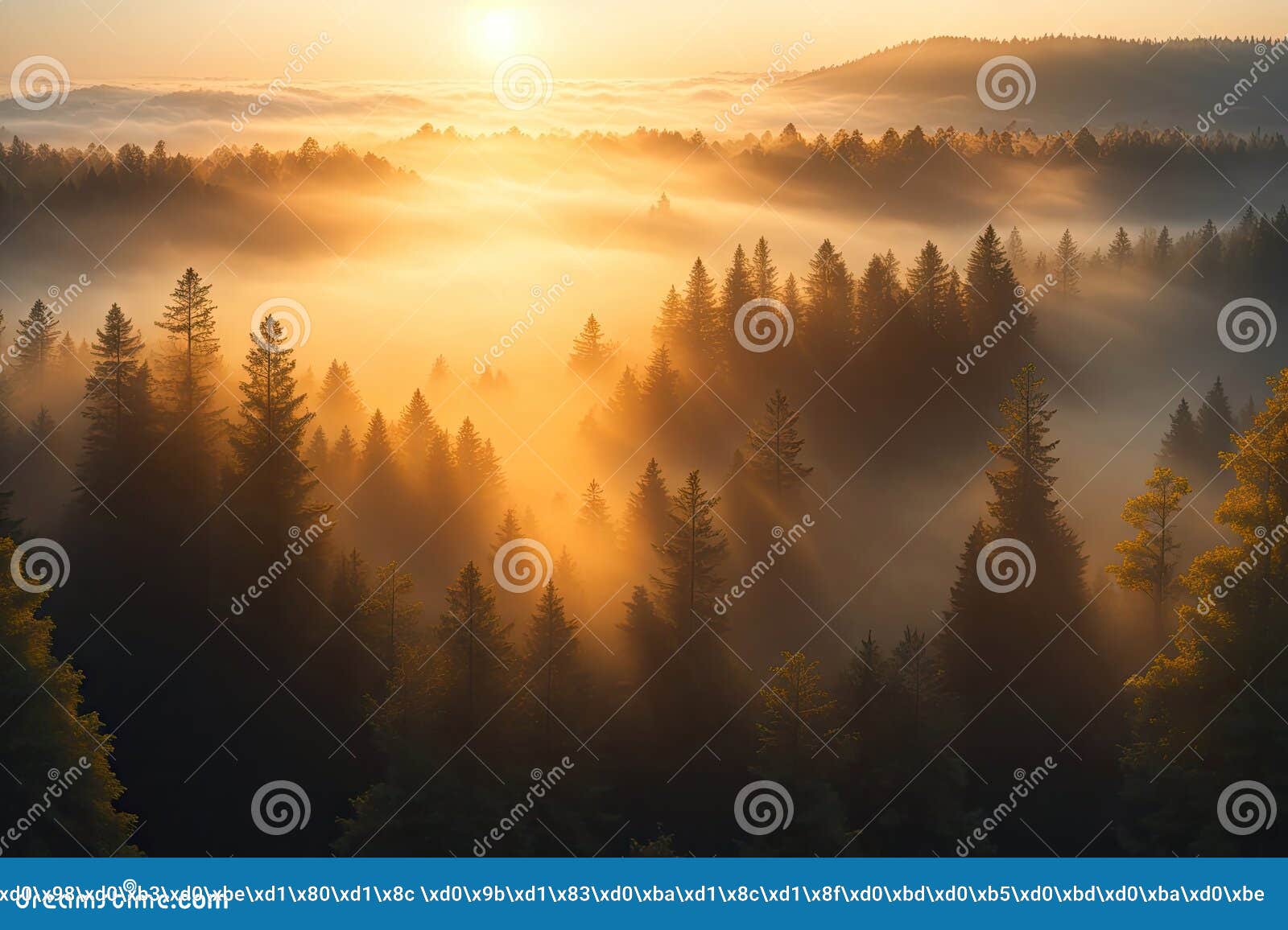 Mountain Forest in the Fog Sun Set Light Ai Generative Stock ...