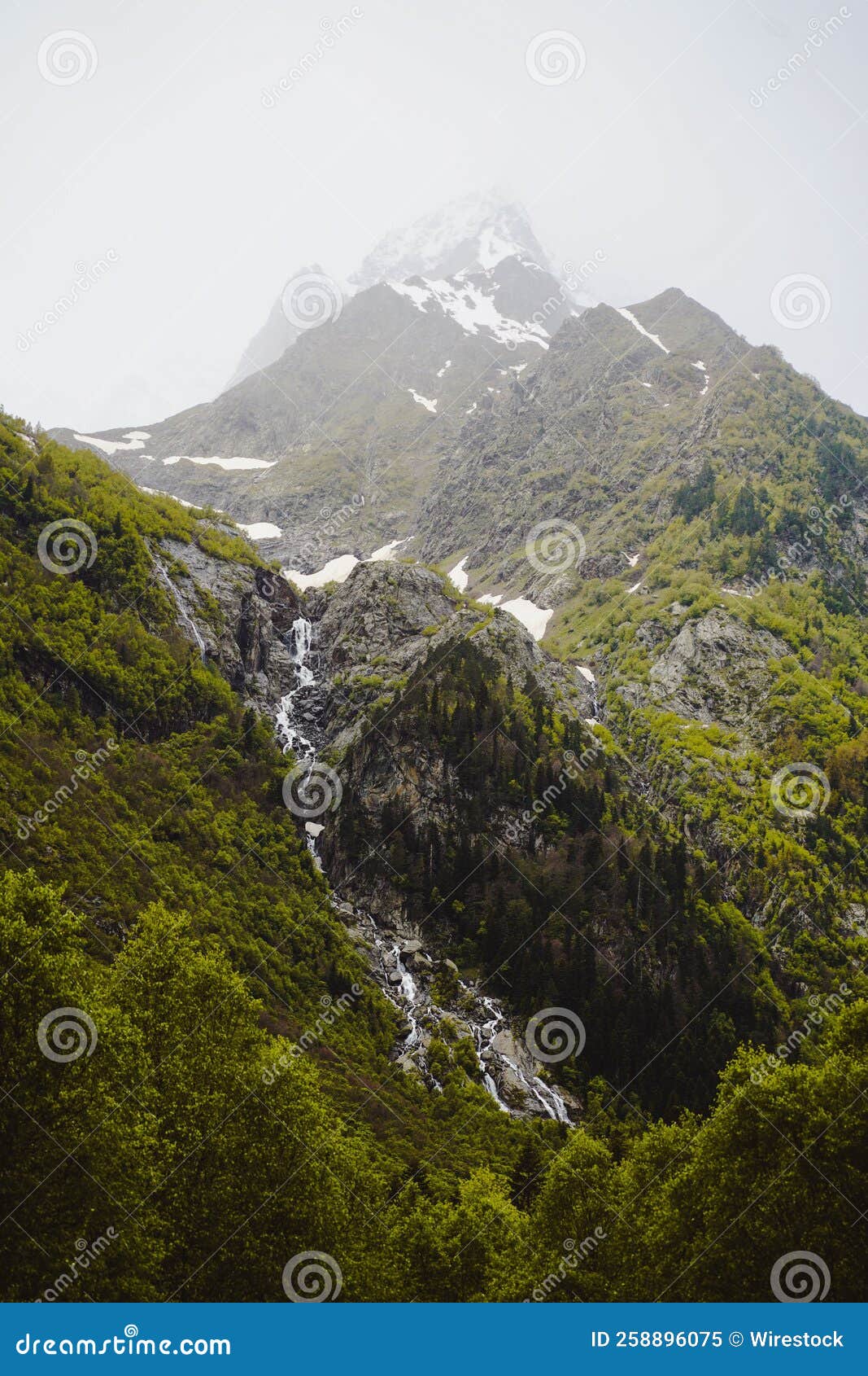 Mountain Forest Landscape on a Gloomy Day Stock Image - Image of season ...