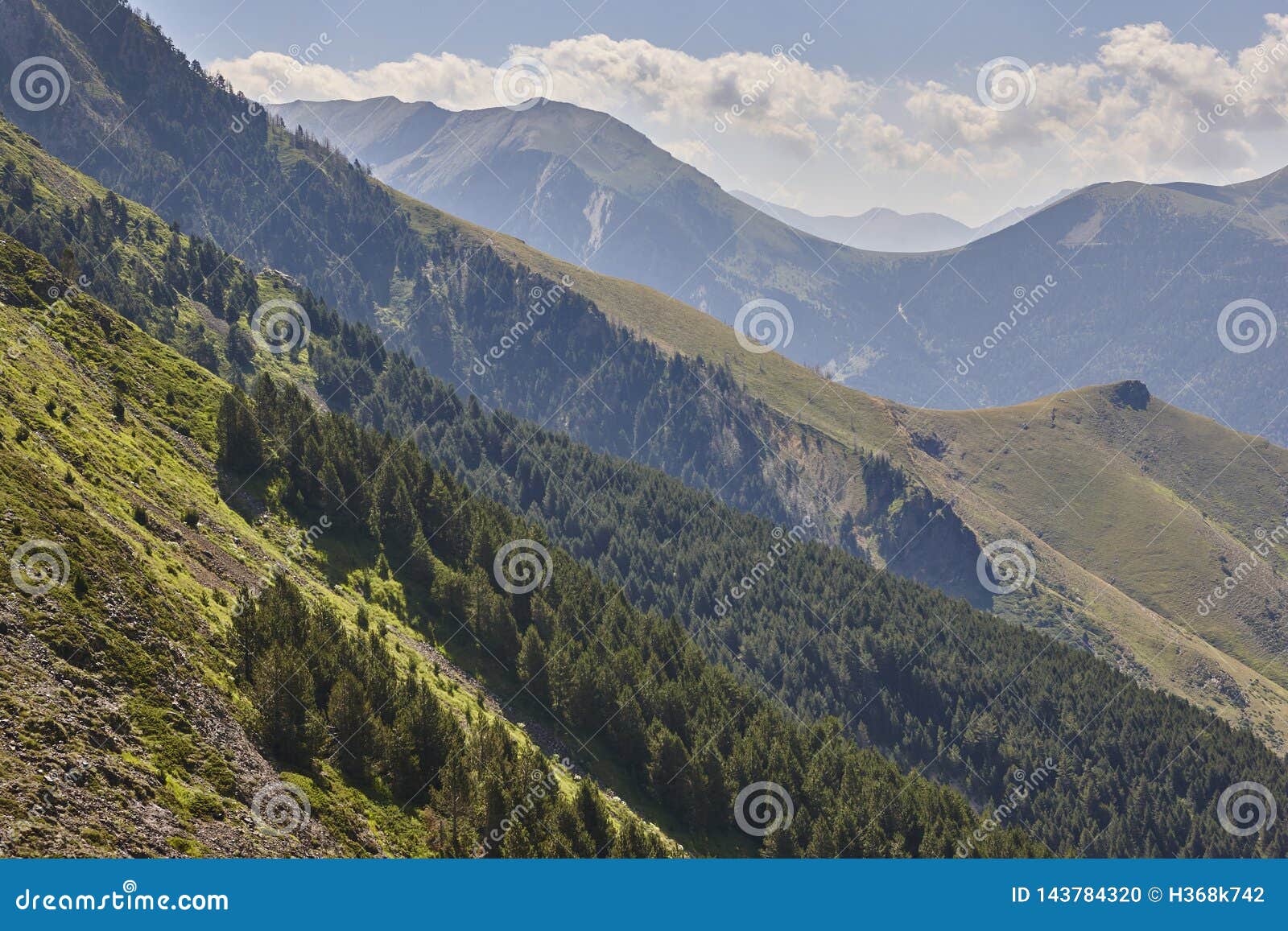 Mountain and Forest Landscape in Lerida, Spain Stock Photo - Image of ...