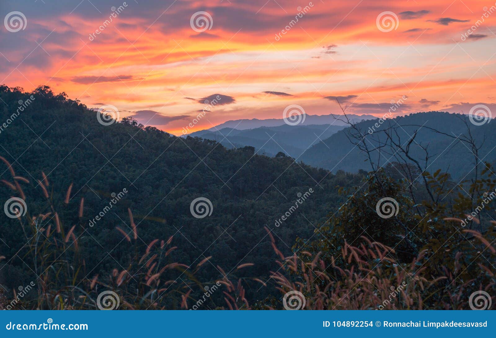 Mountain Forest Landscape Under Evening Sky with Clouds Stock Photo ...