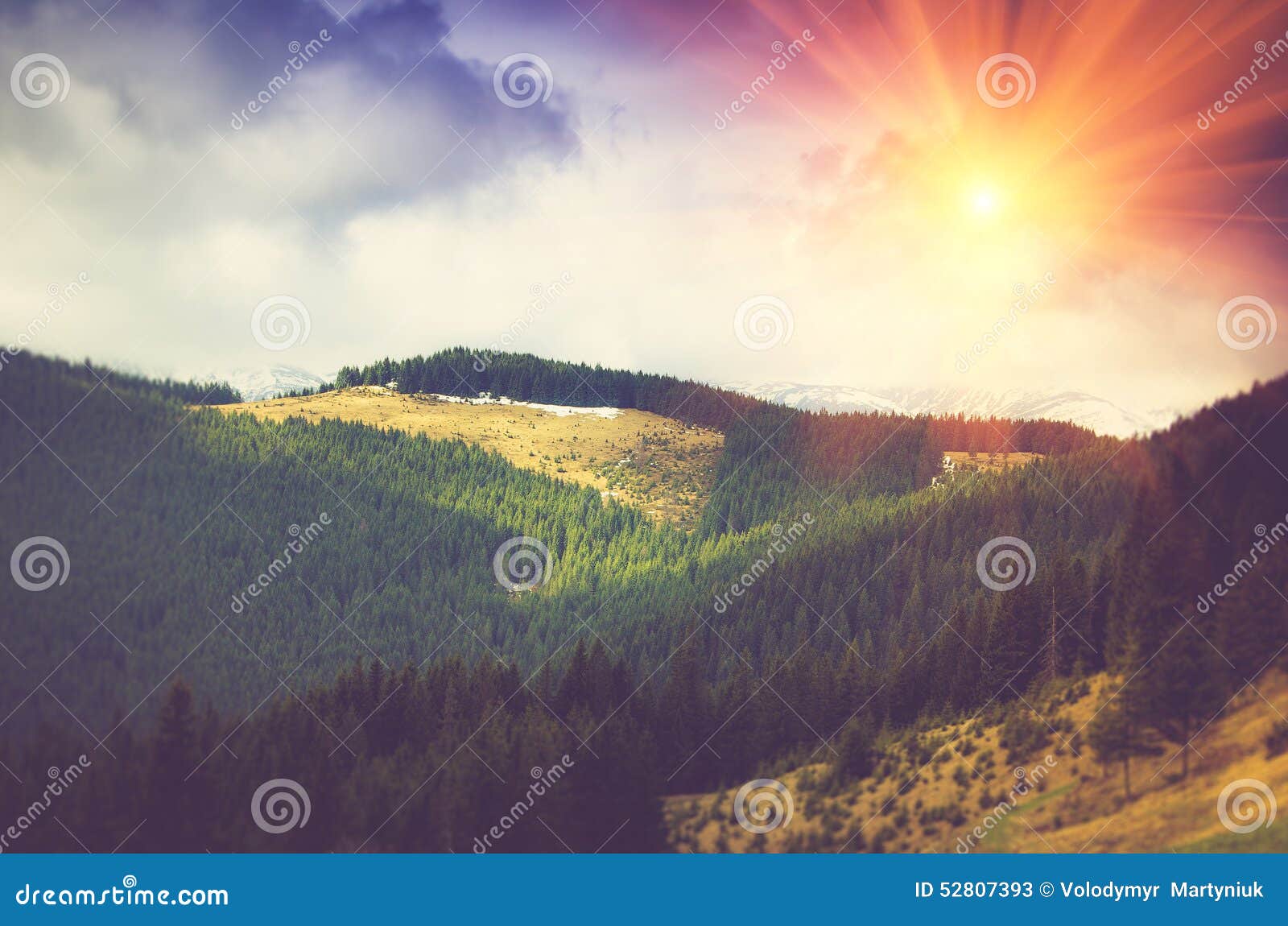Mountain Forest Landscape Under Evening Sky with Clouds. Stock Image ...