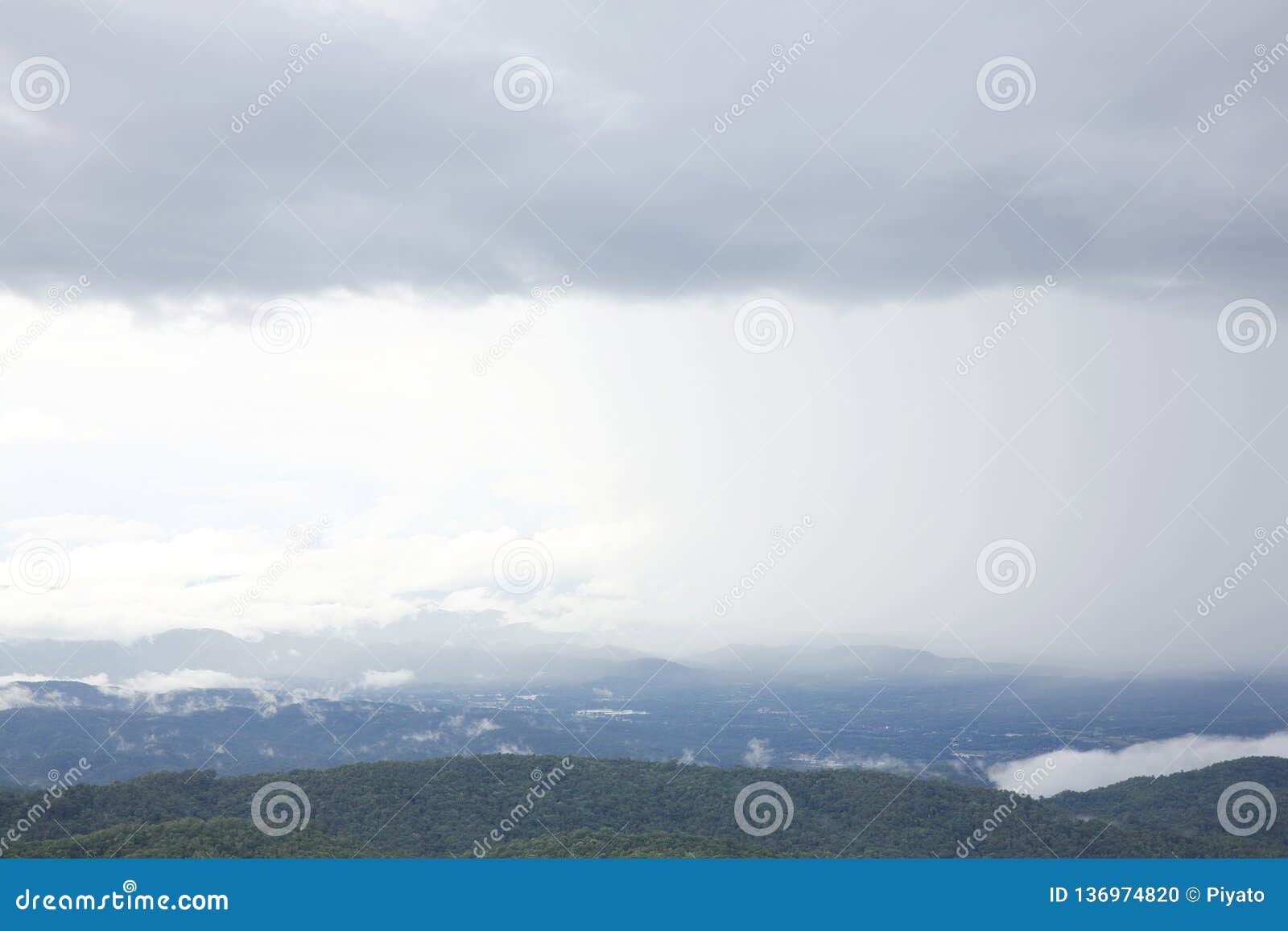 Mountain Forest and Raining Fog Stock Photo - Image of prairie ...