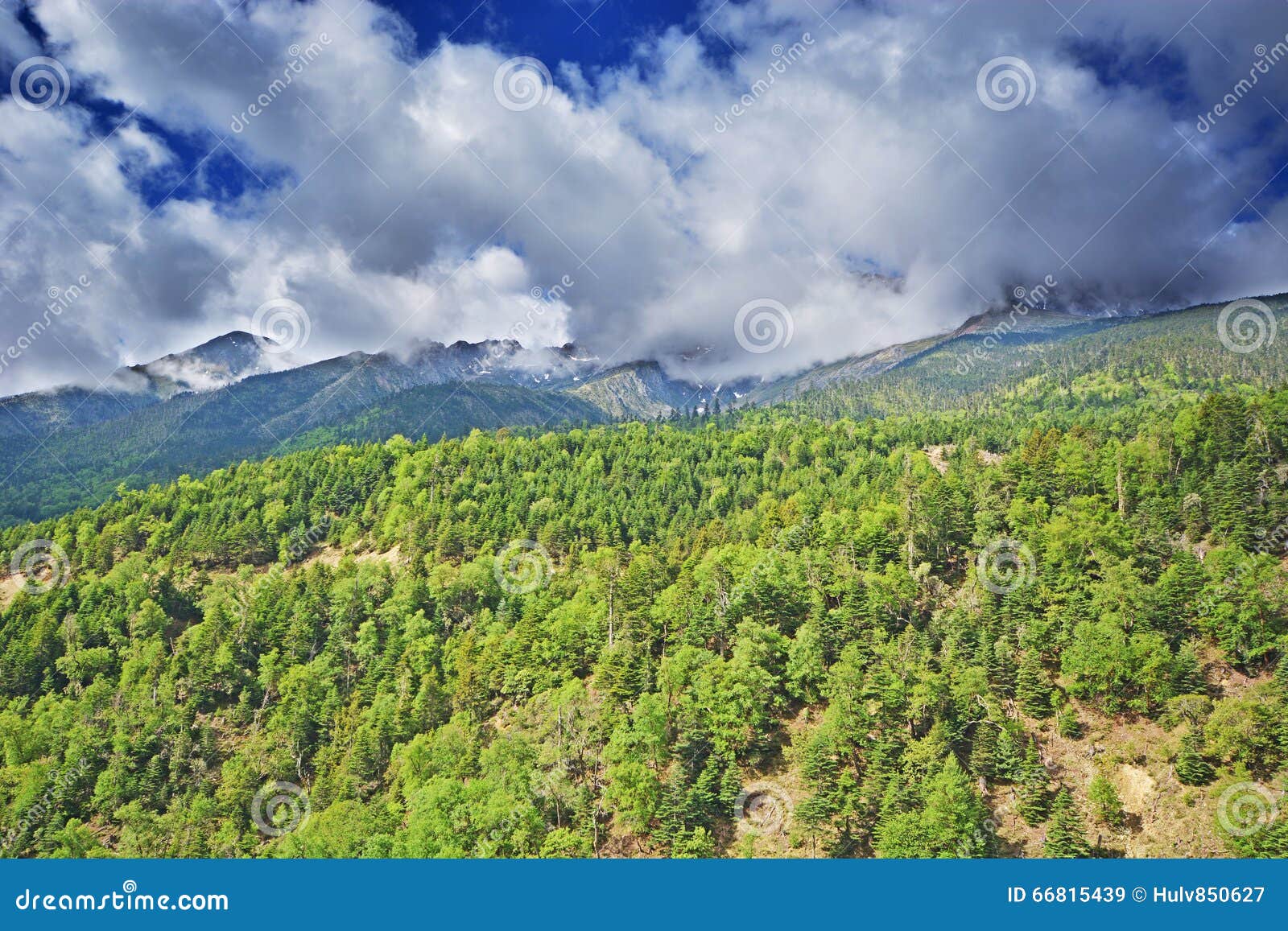 Mountain forest scene stock image. Image of outdoor, destination - 66815439