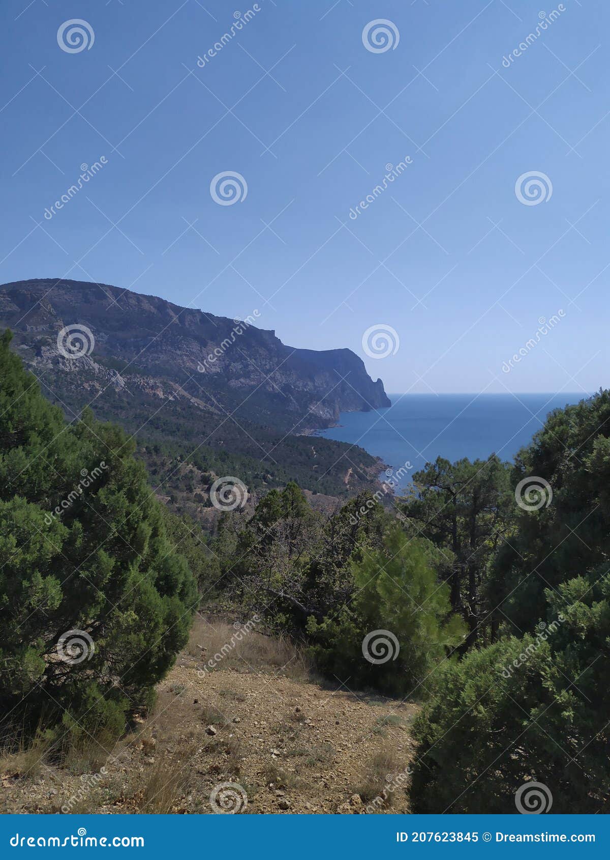Mountain forest and sea stock image. Image of coast - 207623845