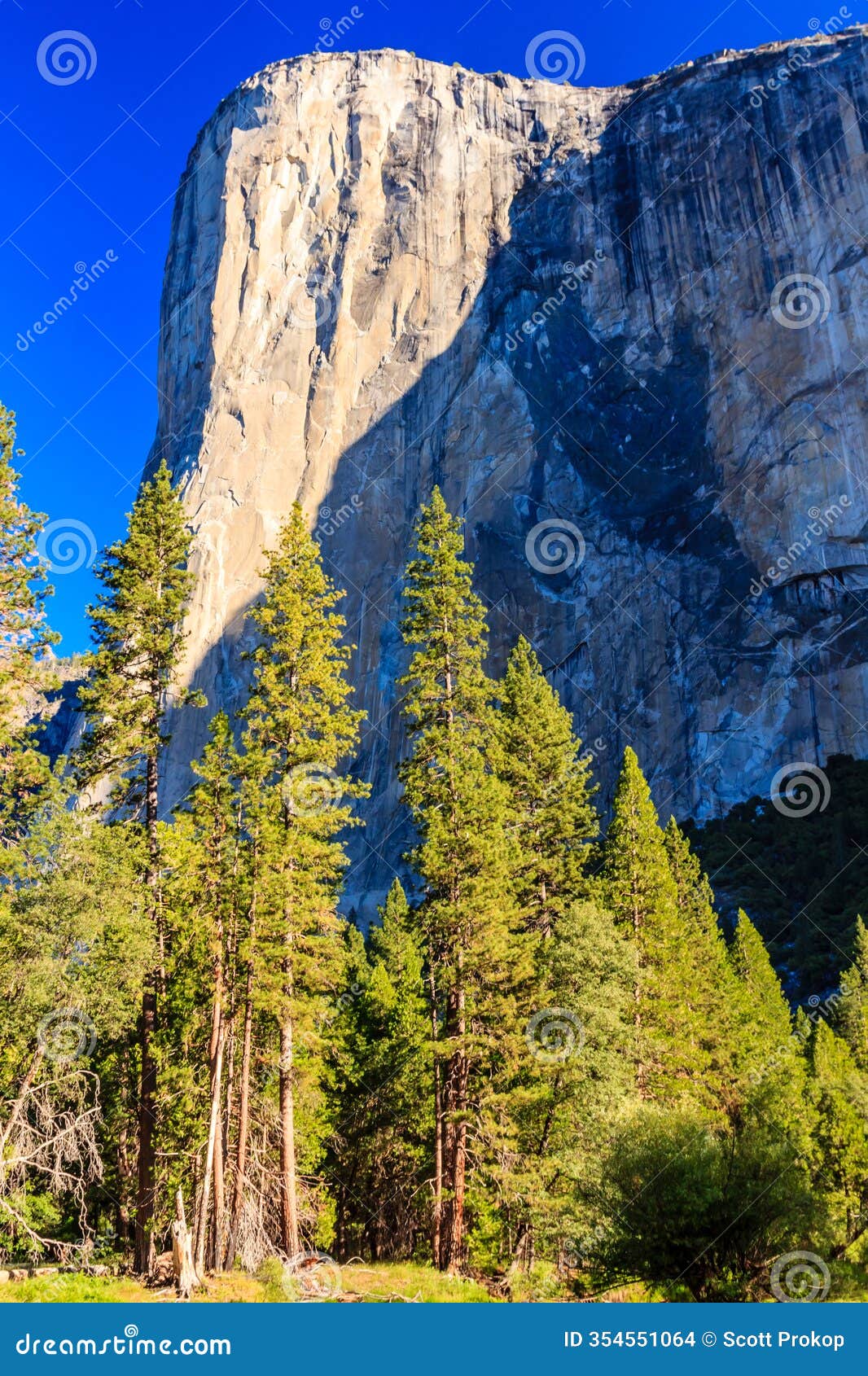 A Mountain with a Forest on the Side Stock Photo - Image of spread ...