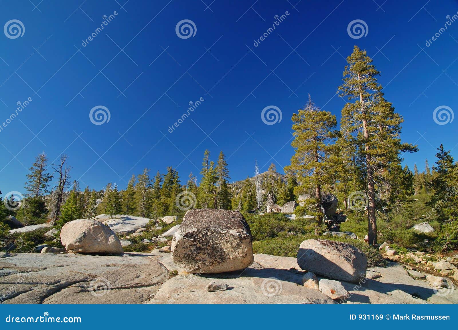 Mountain forest in spring stock image. Image of mountians - 931169