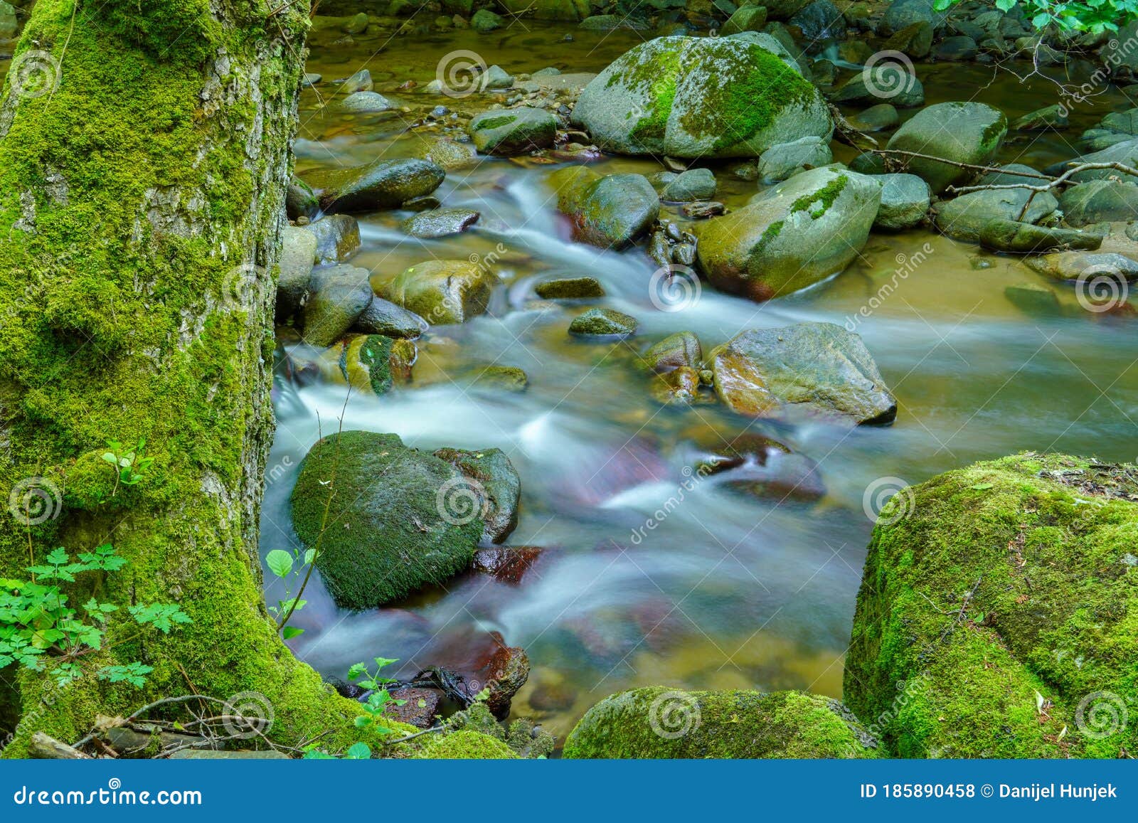 Mountain Forest Stream with Fast Flowing Water and Rocks, Long Exposure ...