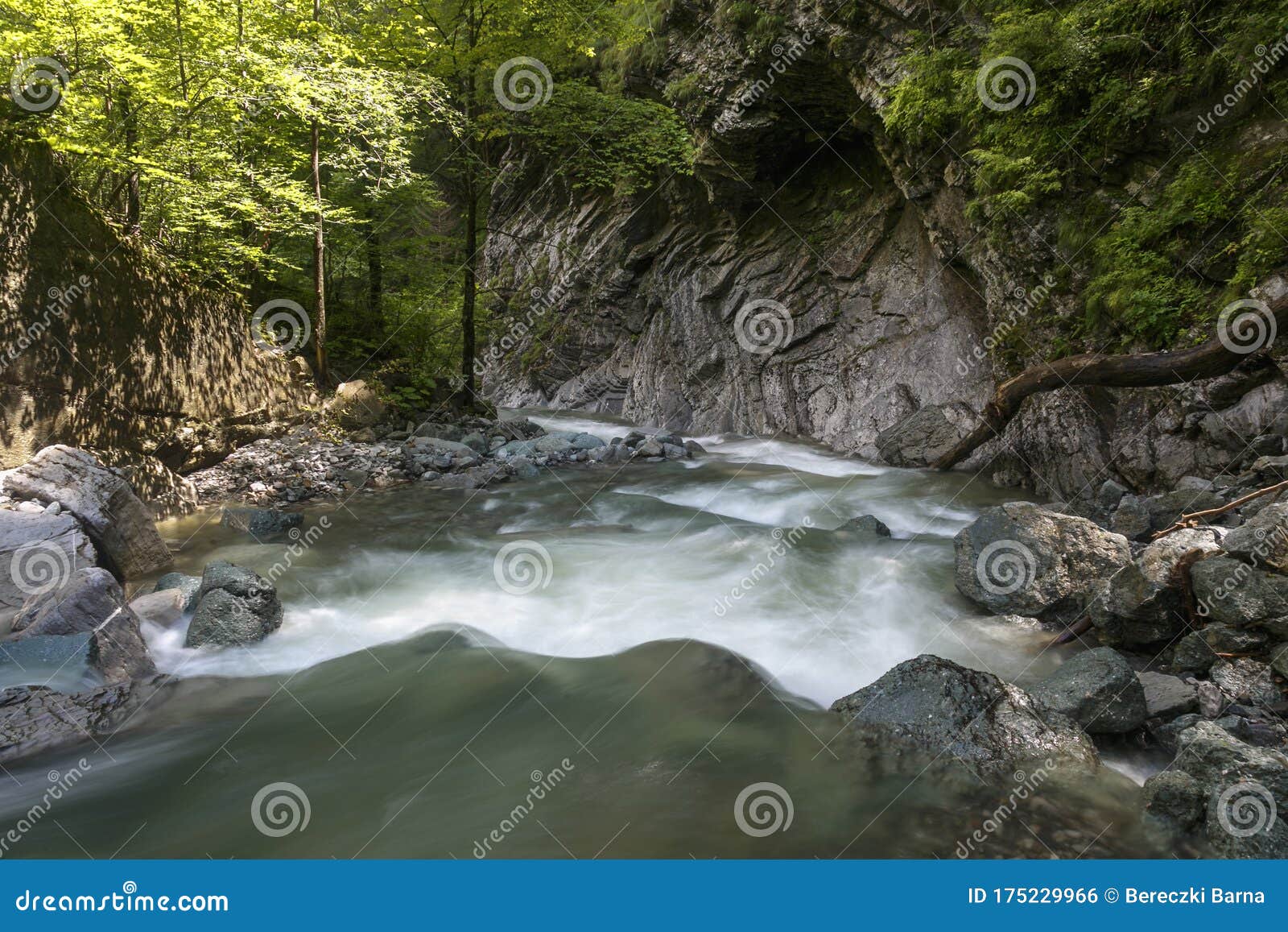 Mountain Forest Stream with Fast Flowing Water and Rocks, Long Exposure ...