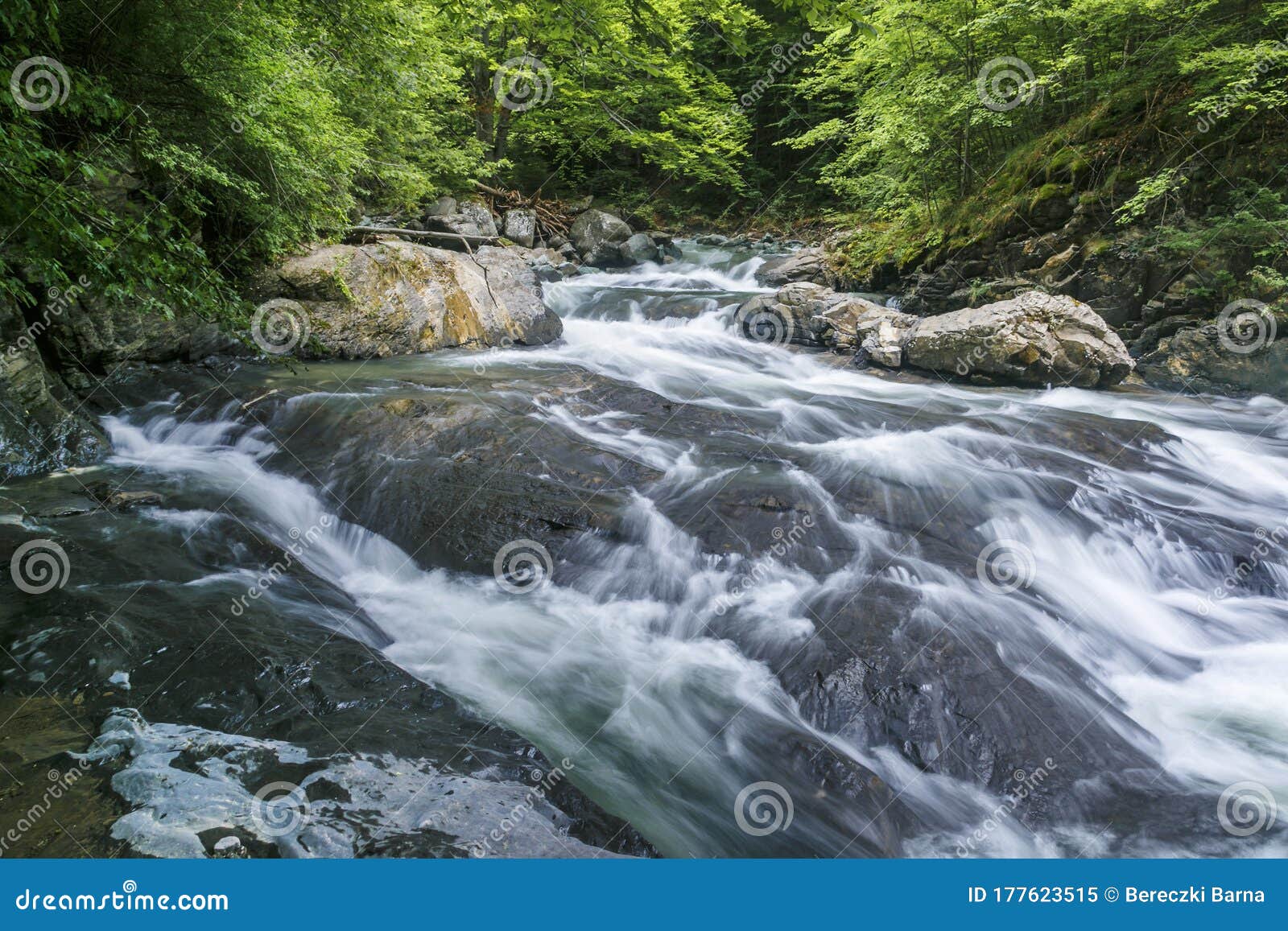 Mountain Forest Stream with Fast Flowing Water and Rocks, Long Exposure ...