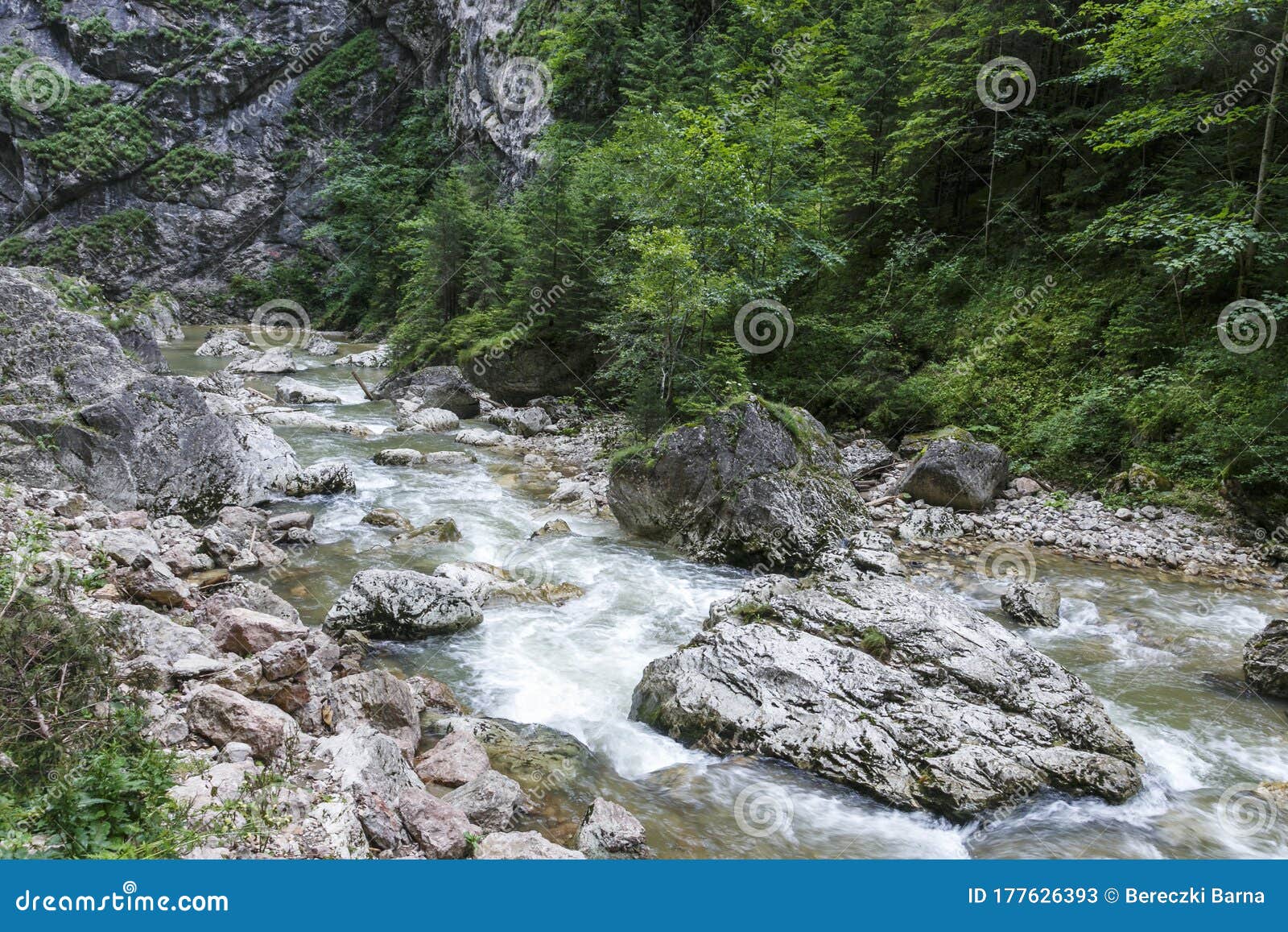 Mountain Forest Stream with Fast Flowing Water and Rocks, Long Exposure ...