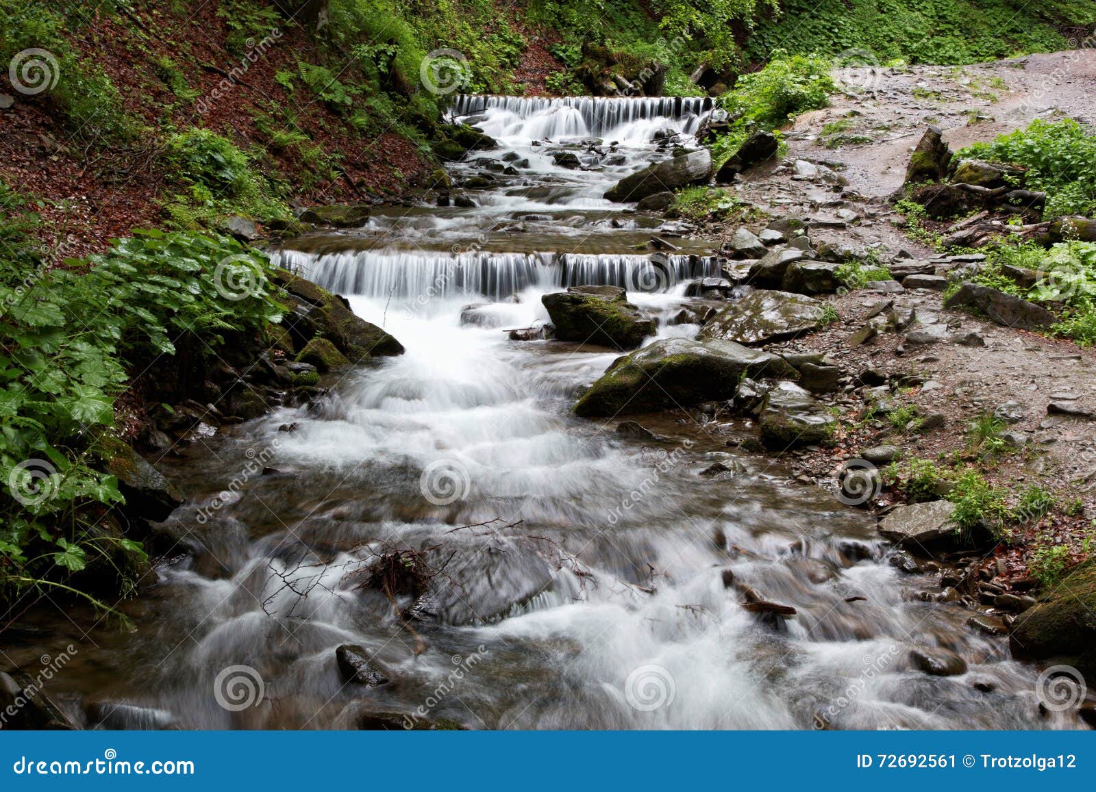 Mountain Forest Stream in Spring Stock Image - Image of landscape ...
