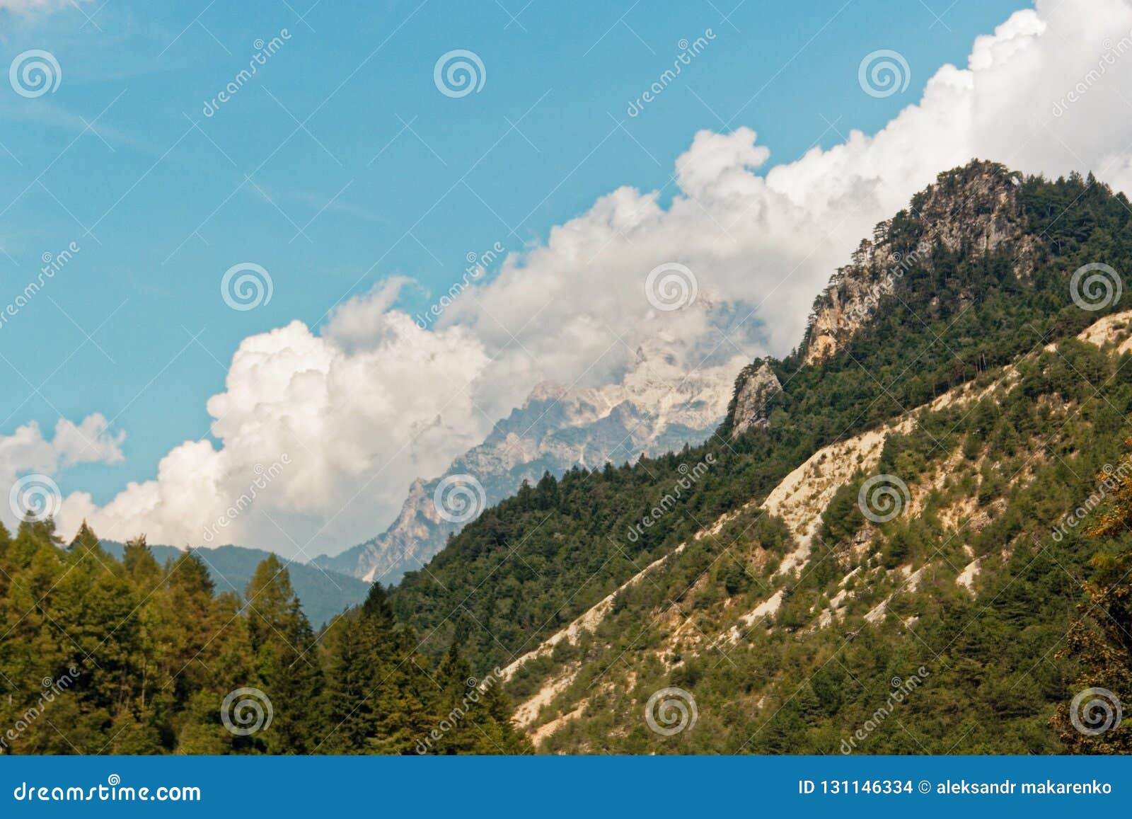Mountain Forest in the Summer on a Clear Day. Stock Photo - Image of ...