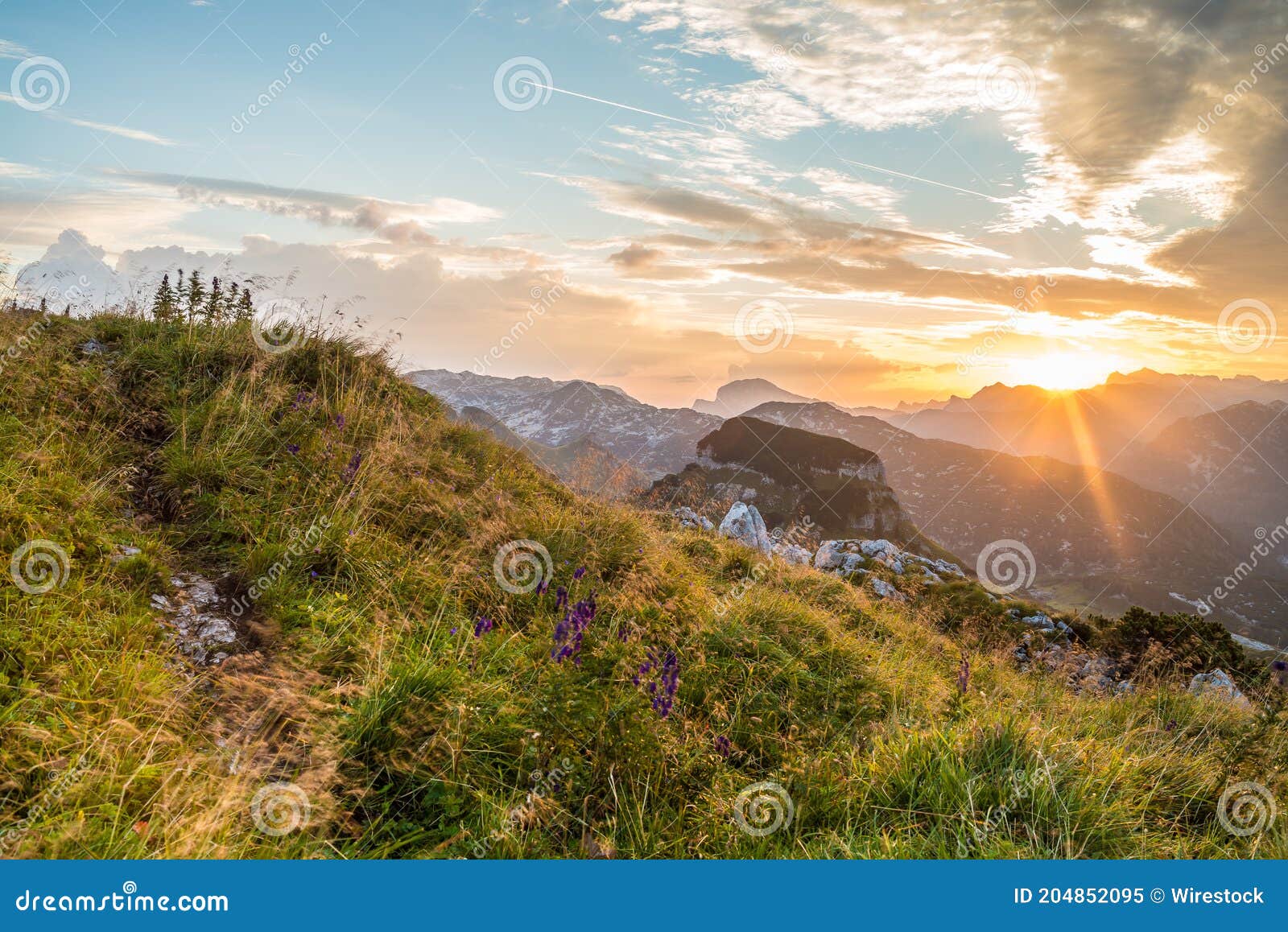 Mountain forest at sunset stock image. Image of field - 204852095