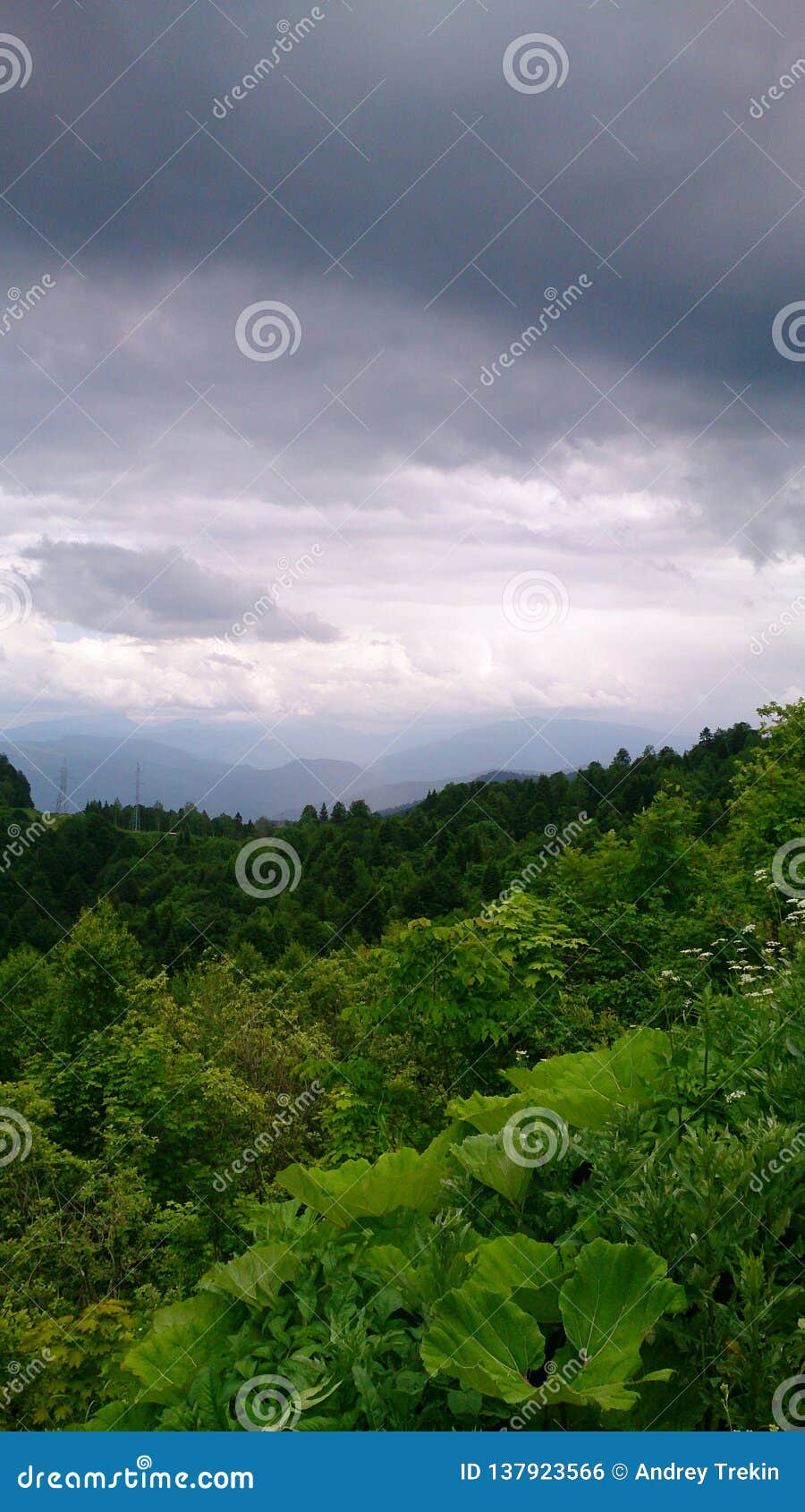 Mountain Forest View on Sky Background Stock Photo - Image of trees ...