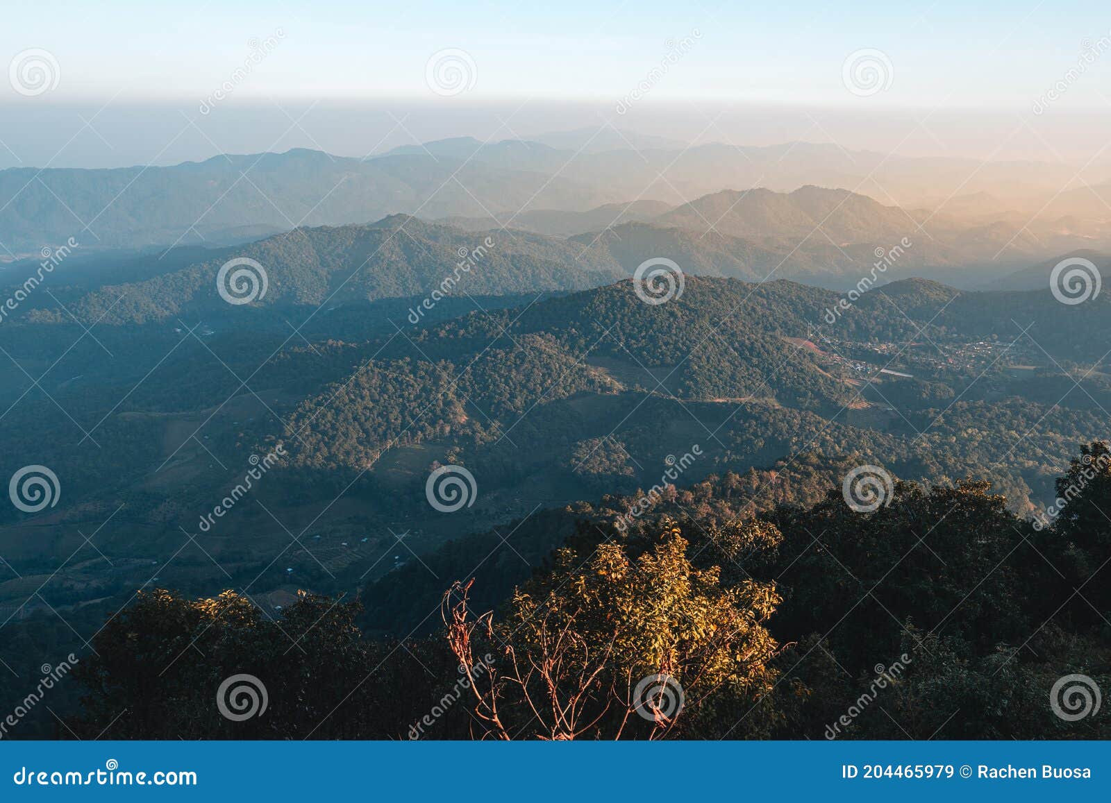Mountain Forest View in the Evening Stock Image - Image of country ...
