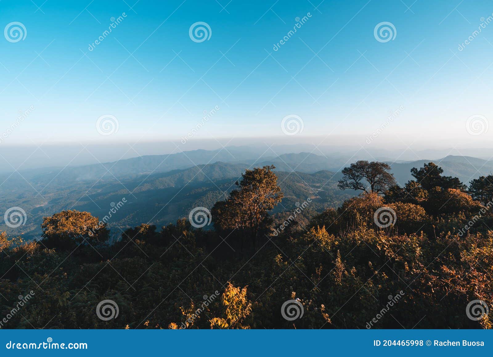 Mountain Forest View in the Evening Stock Photo - Image of green, grass ...