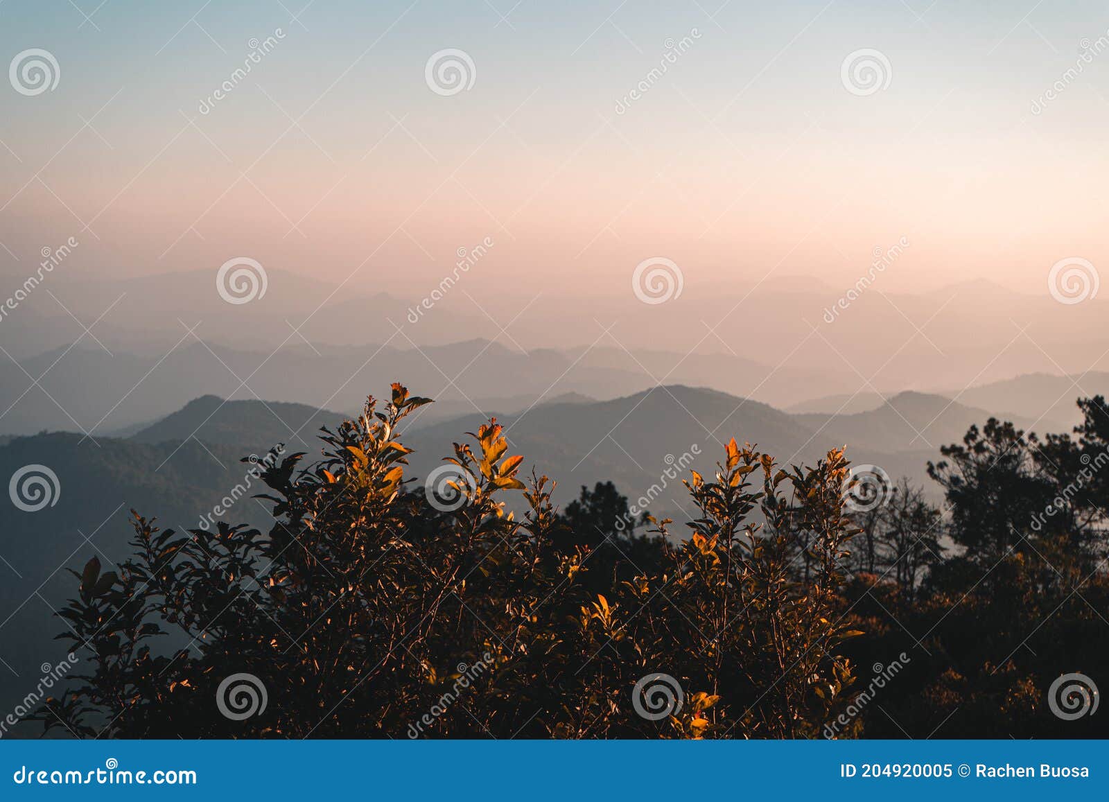 Mountain Forest View in the Evening Stock Image - Image of background ...