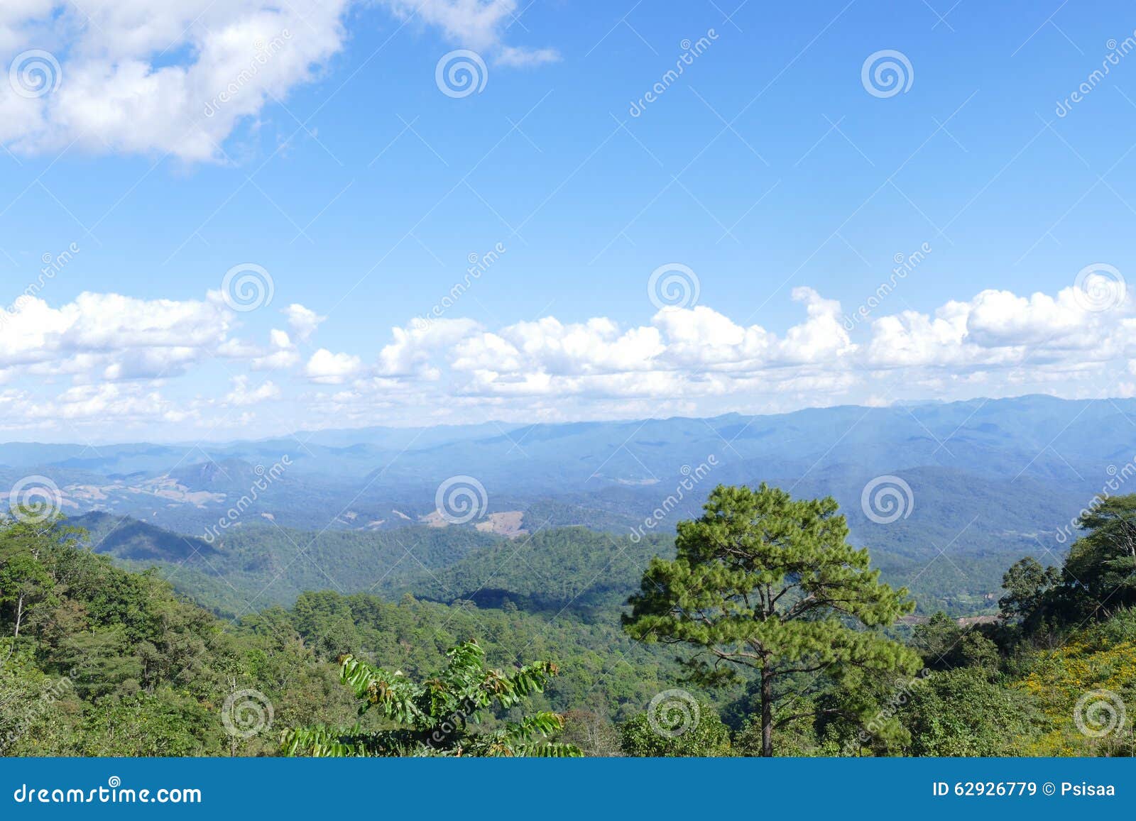 Mountain and forest view stock image. Image of forest - 62926779