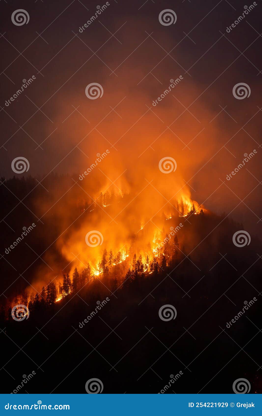 Mountain Forest Wildfire at Night Stock Image - Image of smoke, heat ...