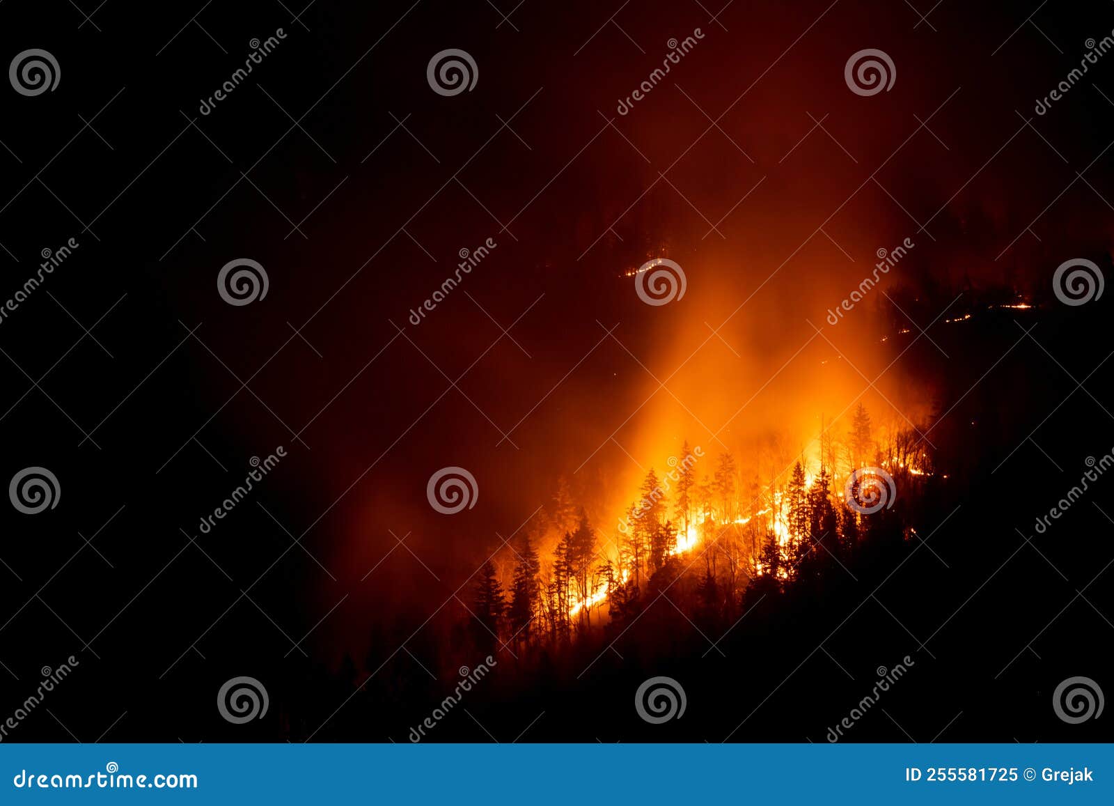 Mountain Forest Wildfire at Night Stock Image - Image of fire, mountain ...