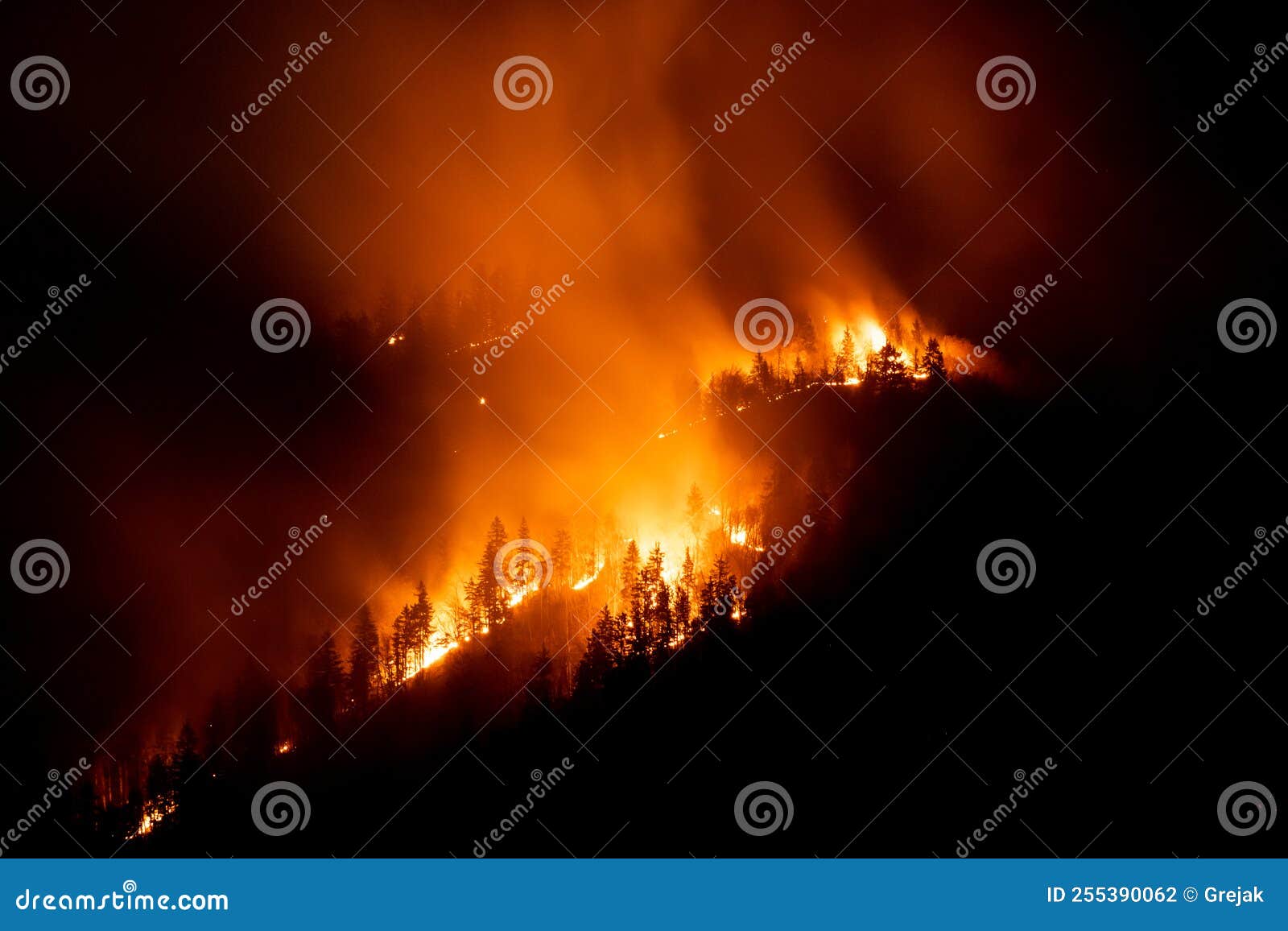 Mountain Forest Wildfire at Night Stock Photo - Image of change, engulf ...