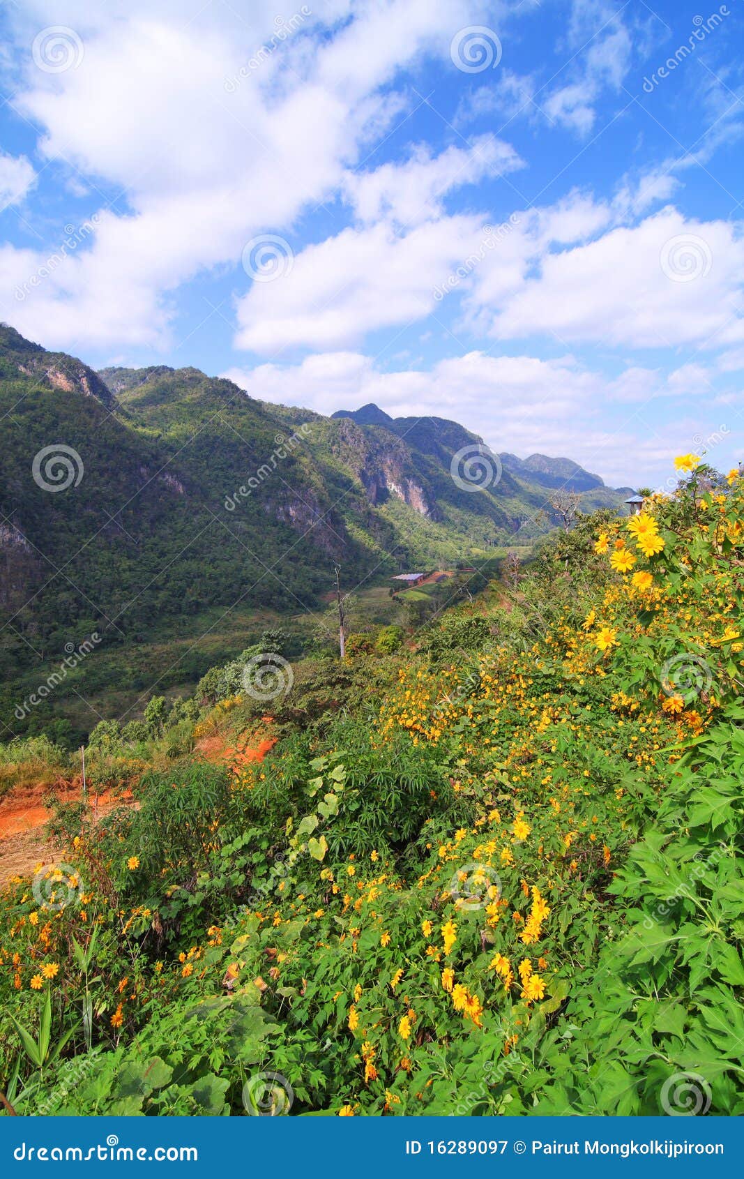 Mountain Forests with Color Stock Image - Image of cloud, countryside ...