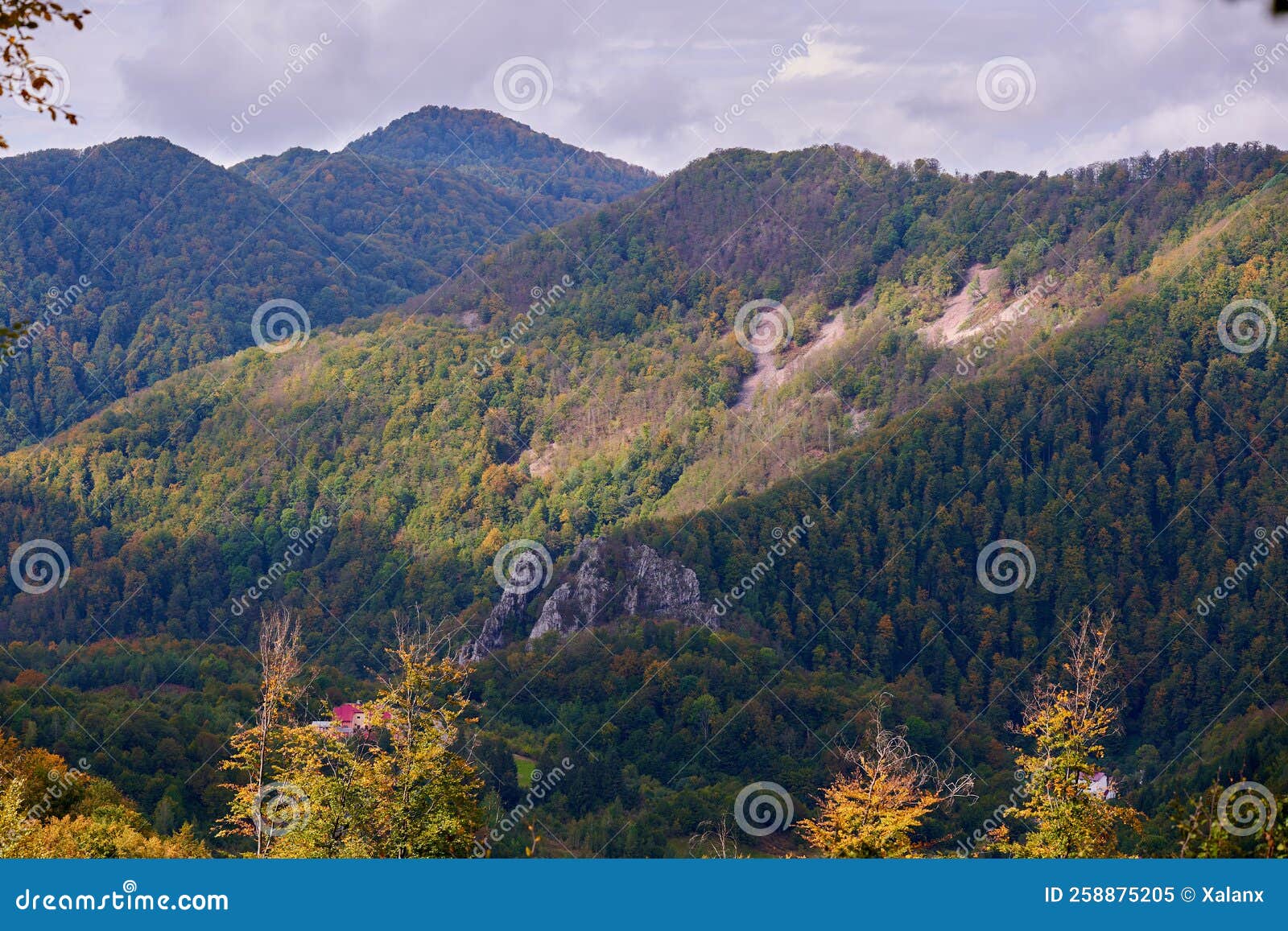 Mountain with Forests Landscape Stock Image - Image of high, panorama ...