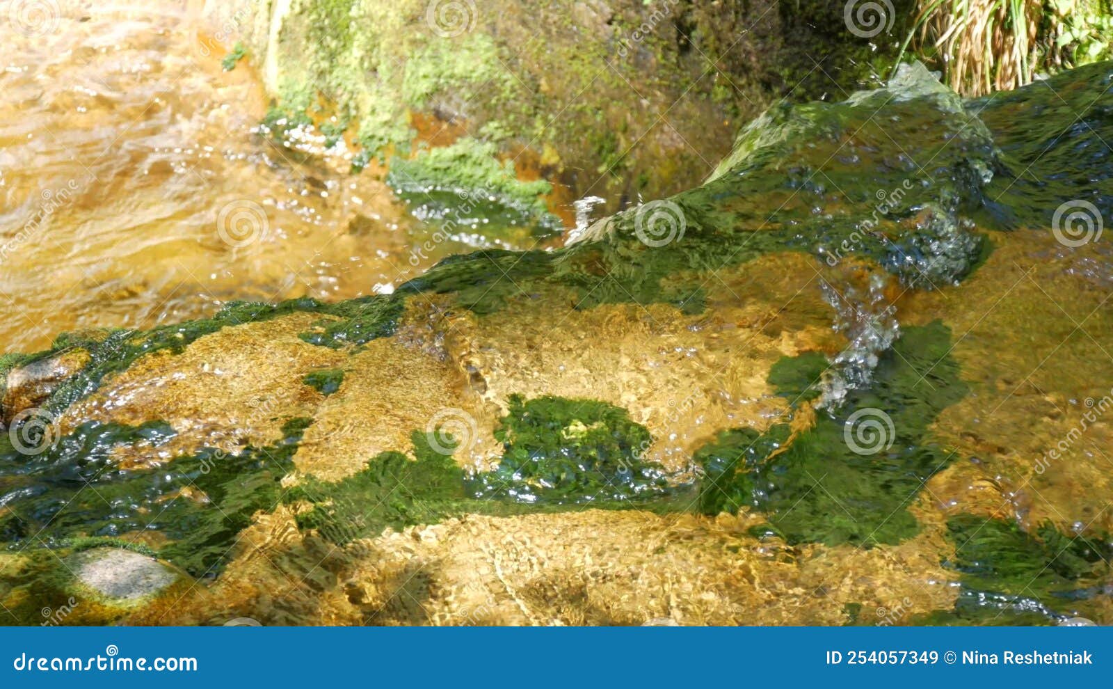 Mountain Fresh Clean Spring Water Source in the Black Forest, Germany ...