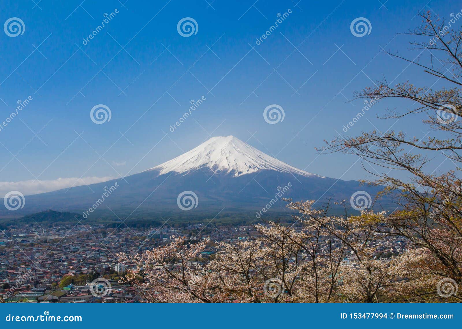 Mountain Fuji in spring stock photo. Image of blue, springtime - 153477994