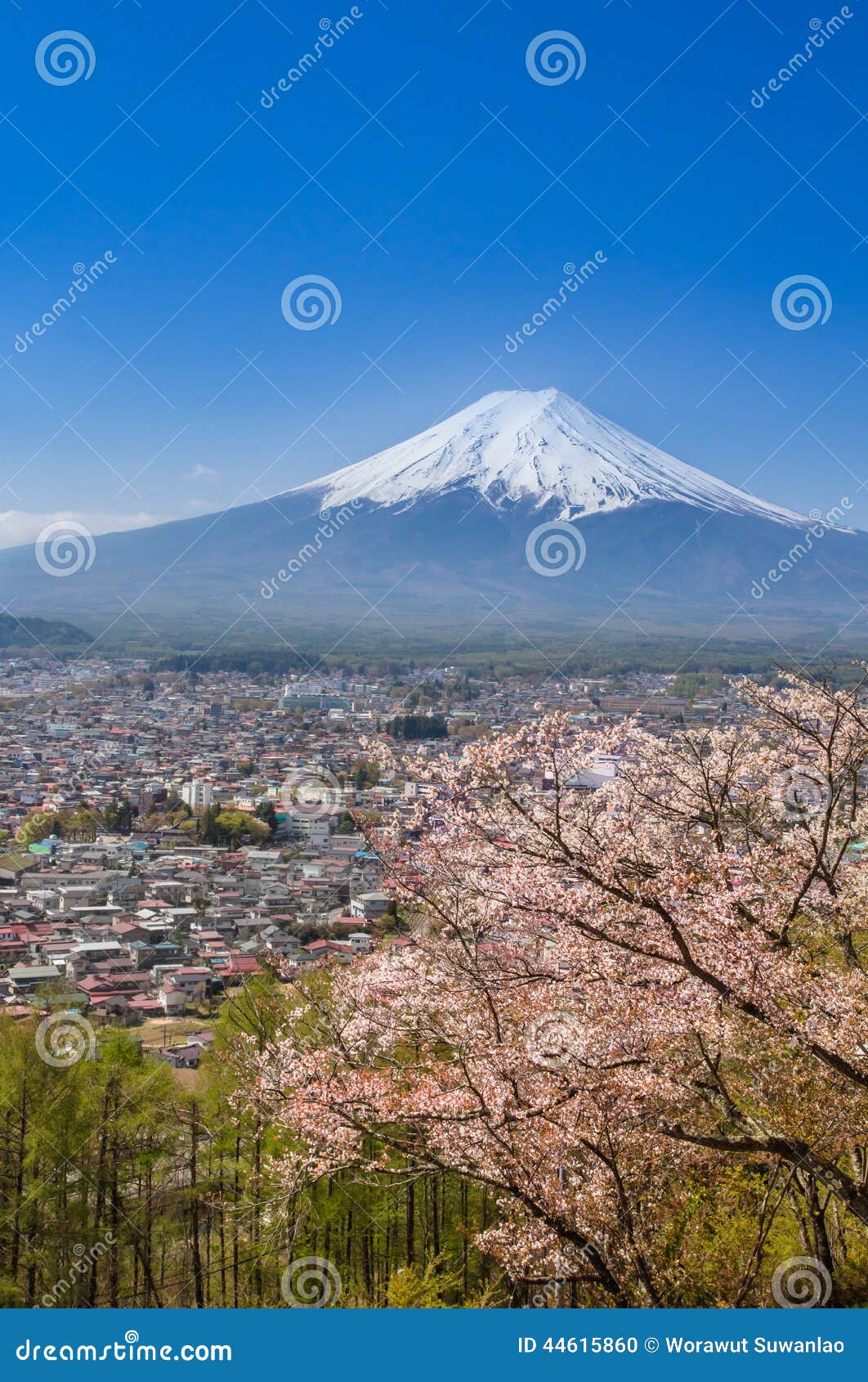 Mountain Fuji in spring stock photo. Image of cool, asia - 44615860