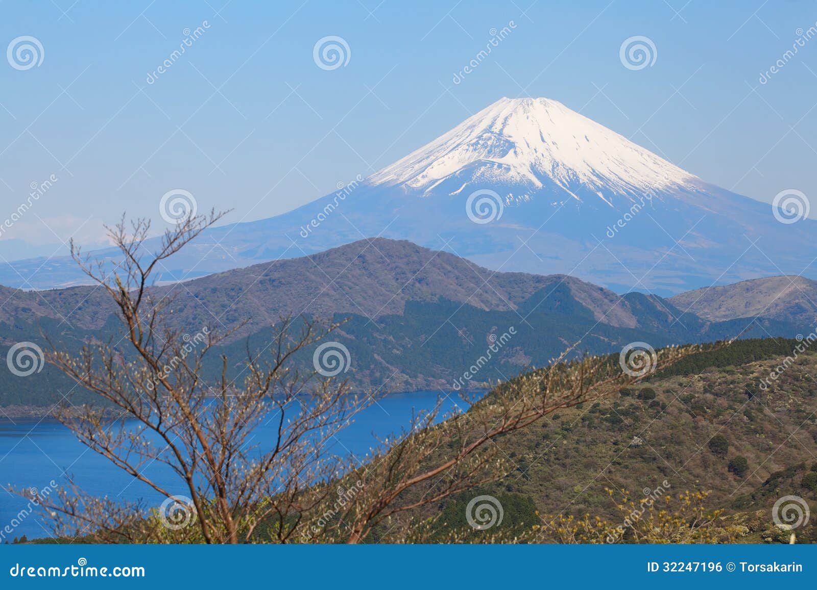 Mountain Fuji in spring stock photo. Image of covered - 32247196