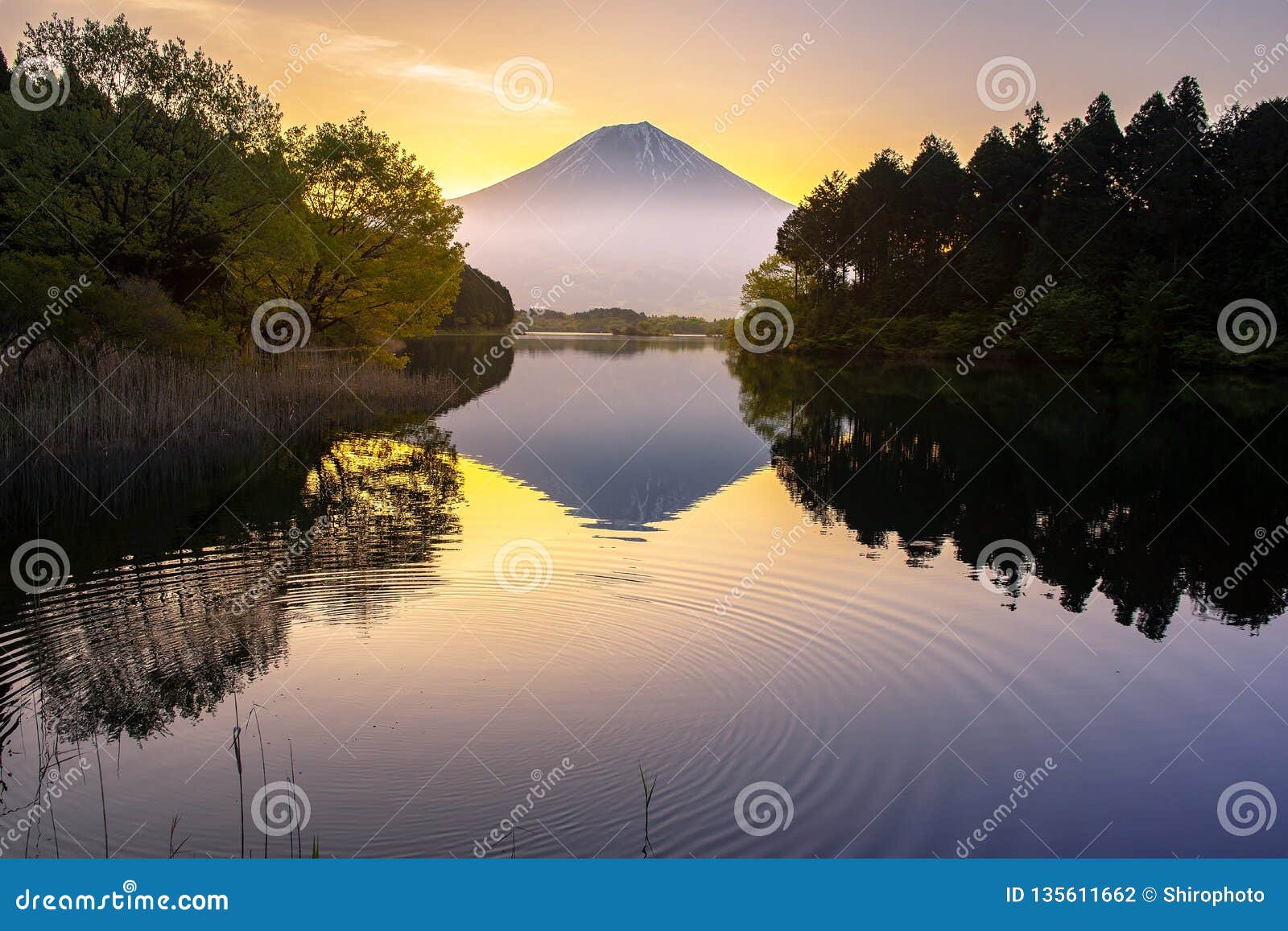 .Mountain Fuji in Sunrise Time Stock Photo - Image of forest, lake ...
