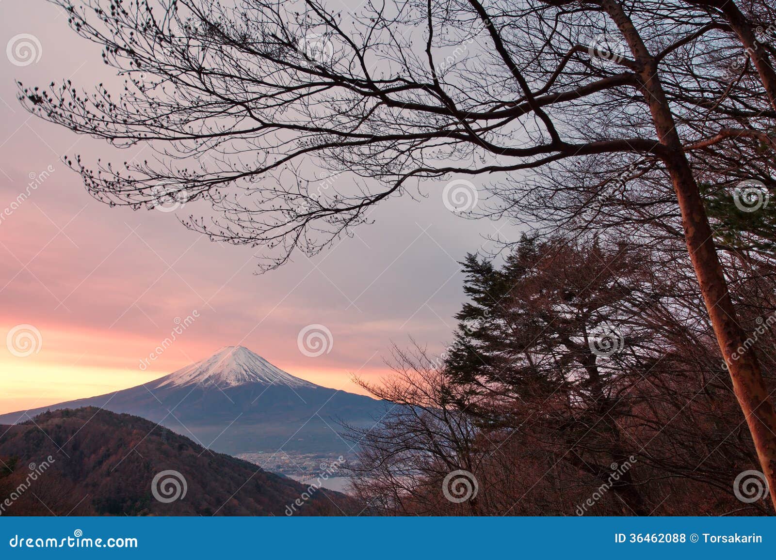 Mountain Fuji in winter stock photo. Image of landmark - 36462088
