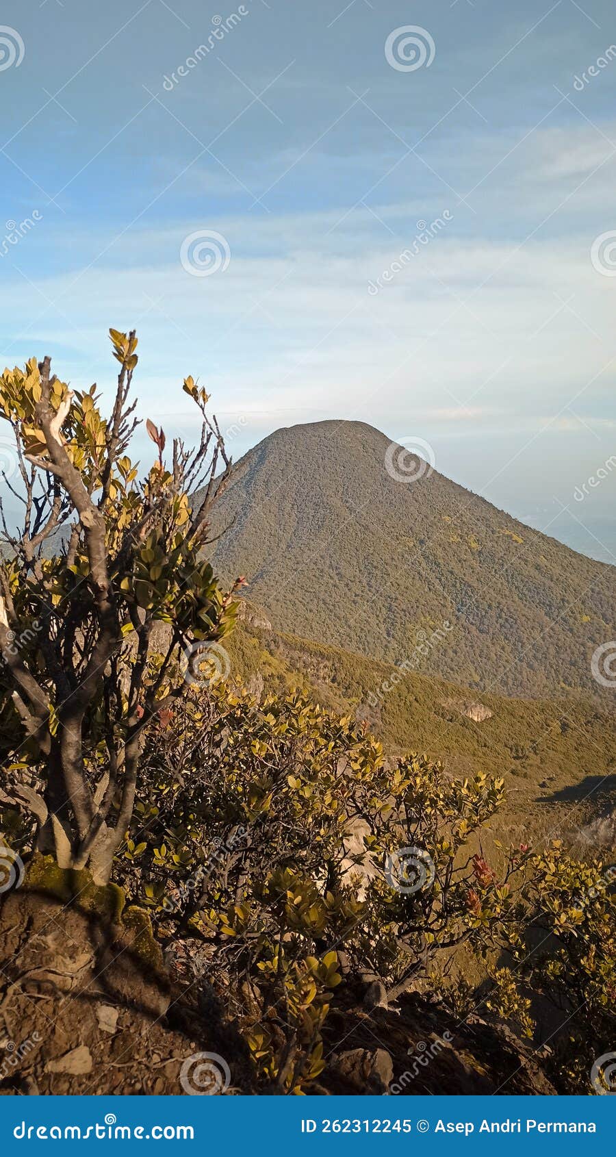 Mountain of Gede Pangrango stock image. Image of mountain - 262312245
