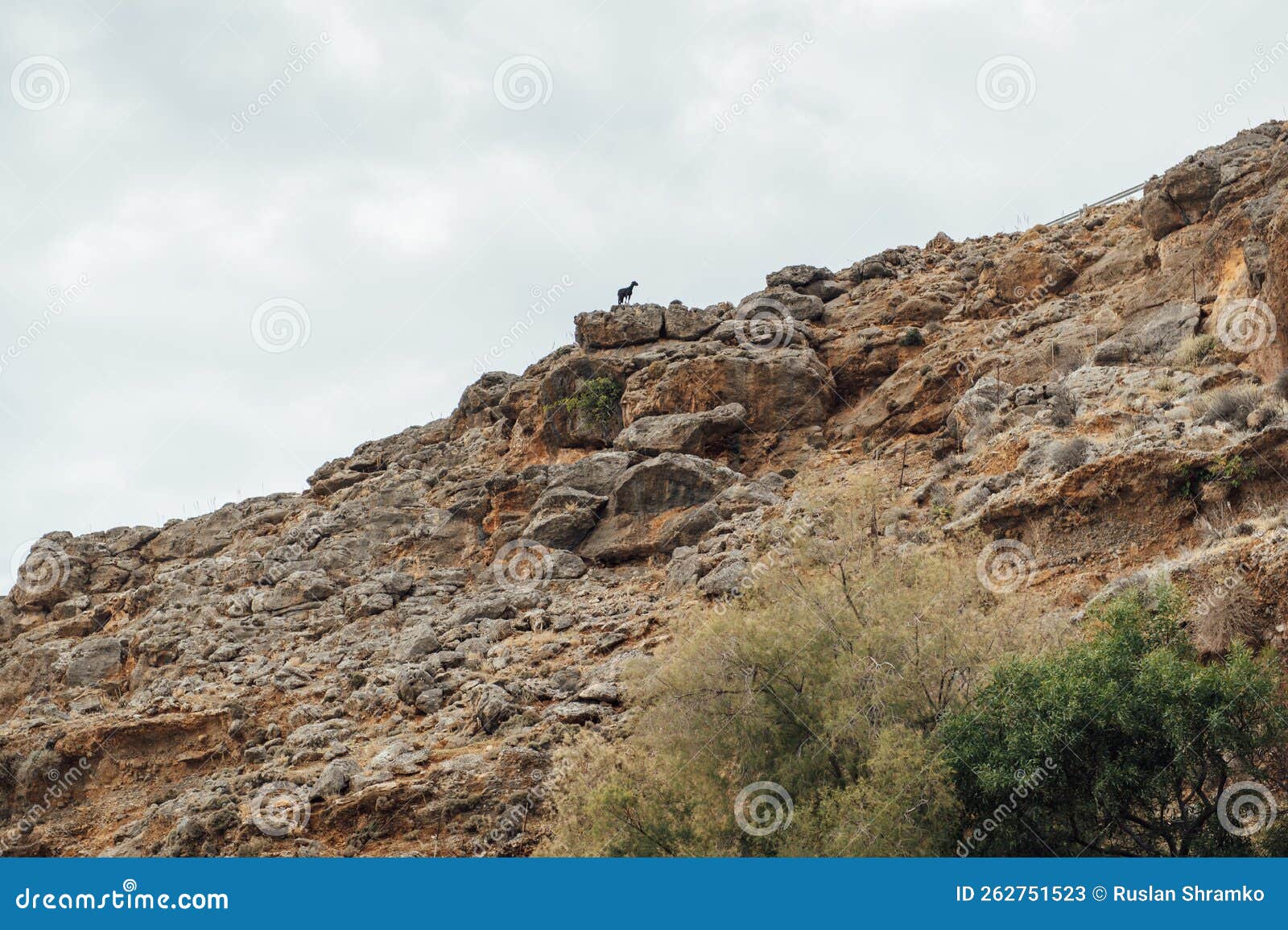 Mountain Goat in the Middle of Nature. Mountain Range, Crete Island ...